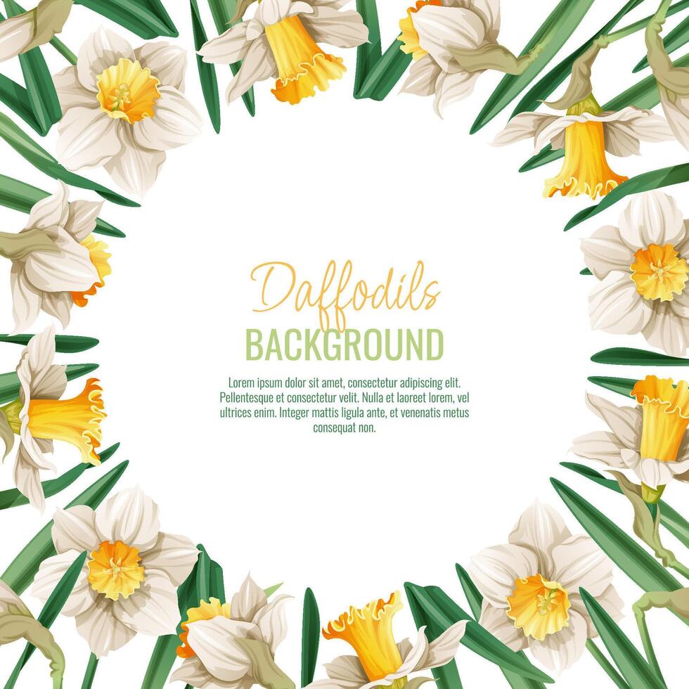 Spring background with daffodils. Postcard, banner for Easter. Spring ...