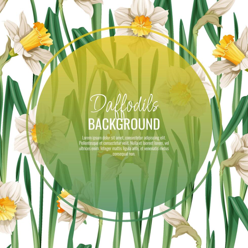 Spring background with daffodils. Postcard, banner for Easter. Spring ...
