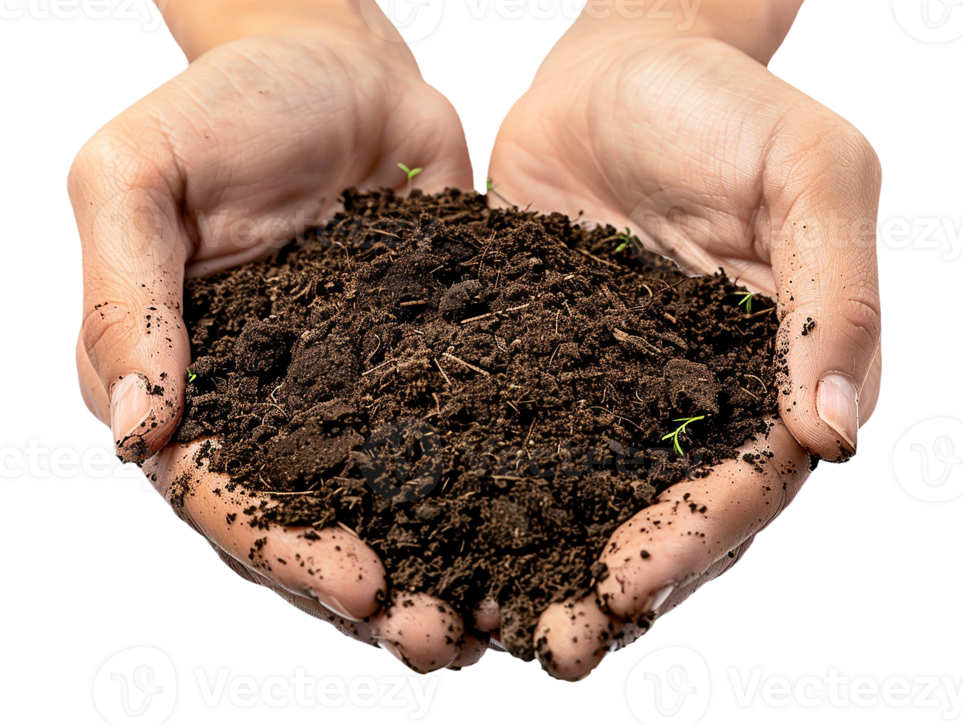 AI generated a handful of soil with transparent background 41407793 PNG