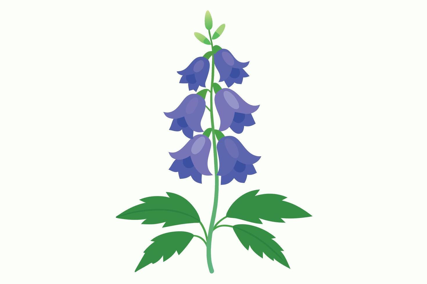 Monkshood Flower Vector Illustration Isolated on a Clean Background ... Monkshood Flower Vector Illustration Isolated on a Clean Background ...