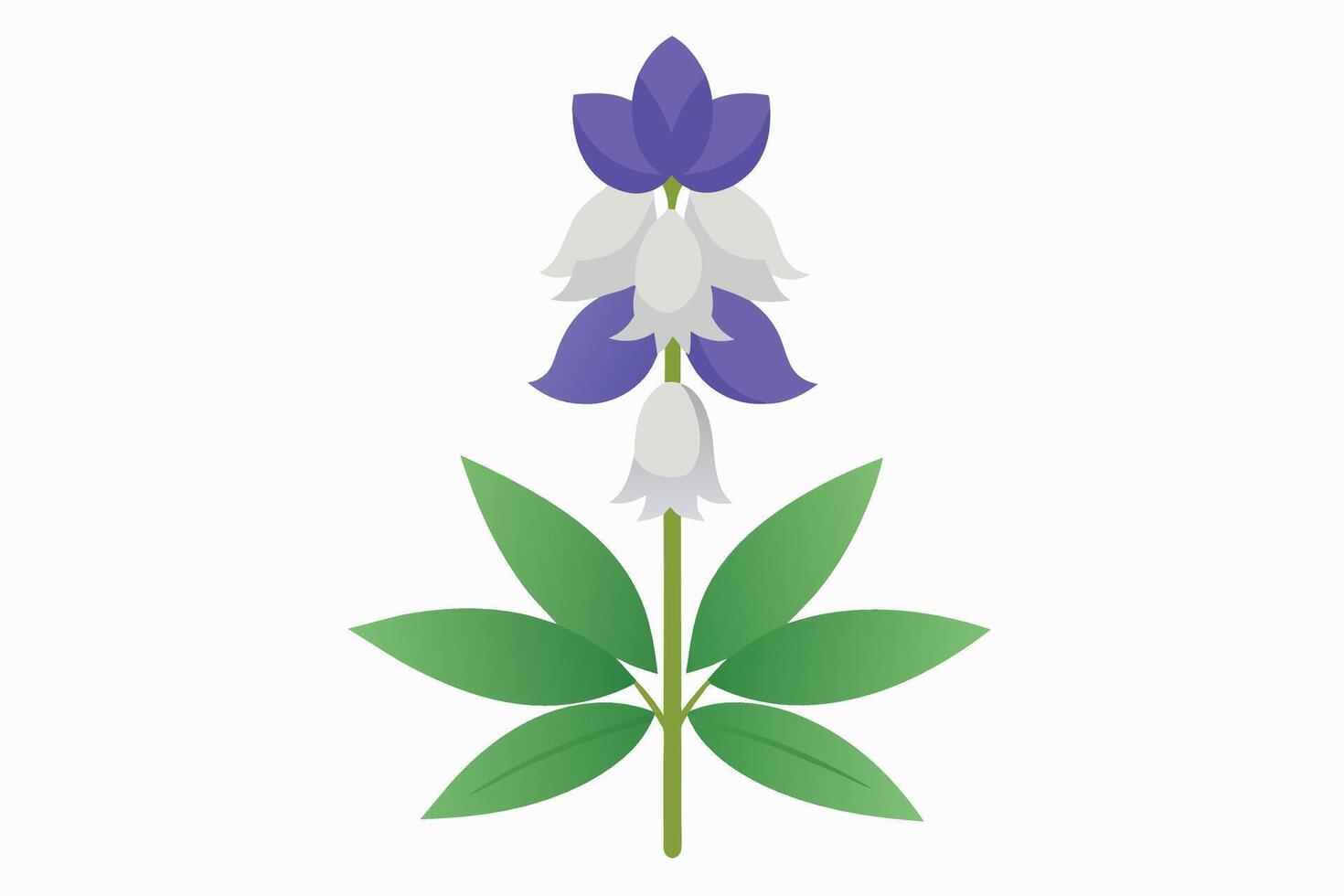 Monkshood Flower Vector Illustration Isolated on a Clean Background ... Monkshood Flower Vector Illustration Isolated on a Clean Background ...