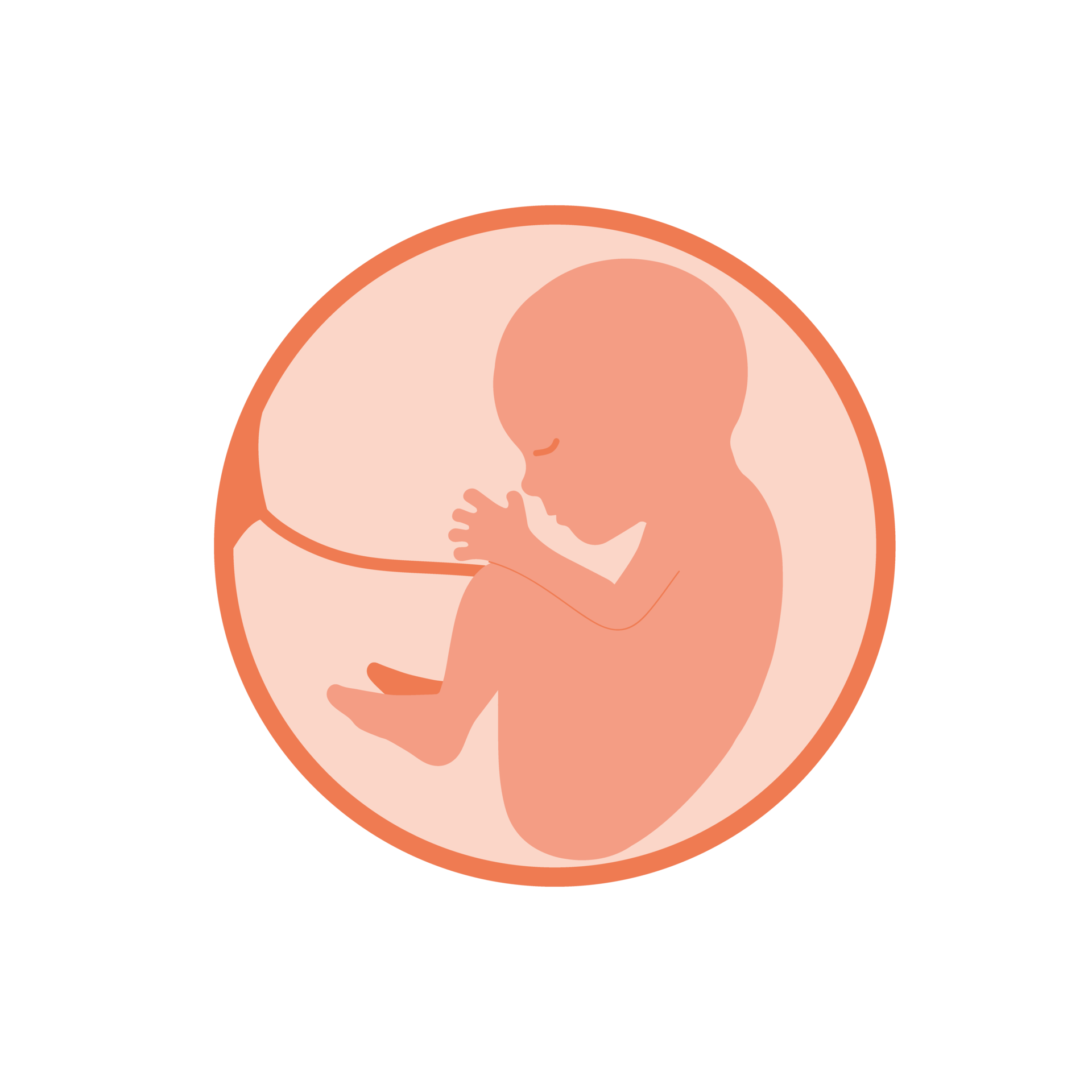 Baby in womb. Pregnancy and health of mother and baby inside. Fetus symbol. Round logo. embryo ...