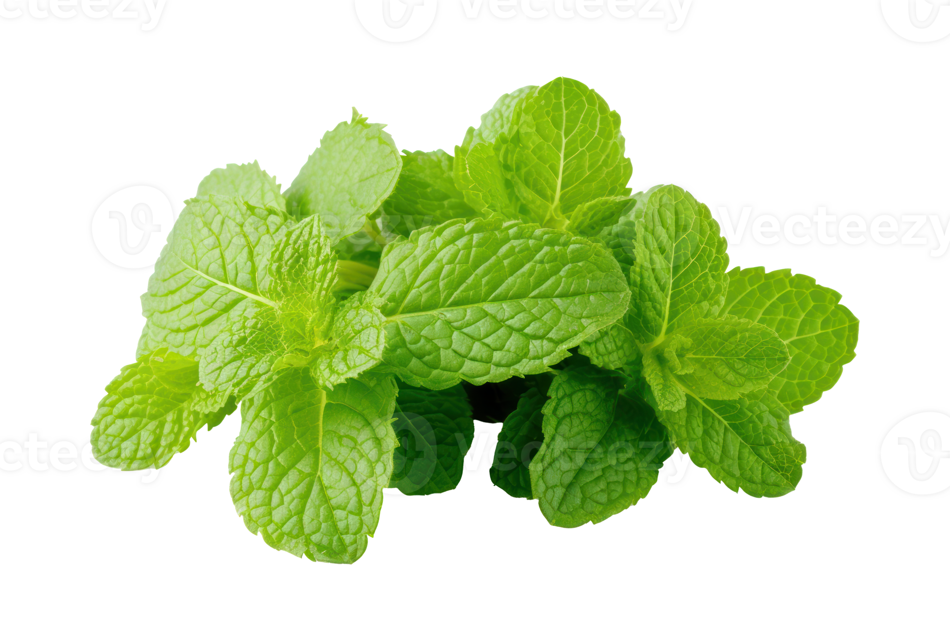 AI generated Fresh green mint leaves. Mint leaves close-up on a transparent background 41714557 PNG