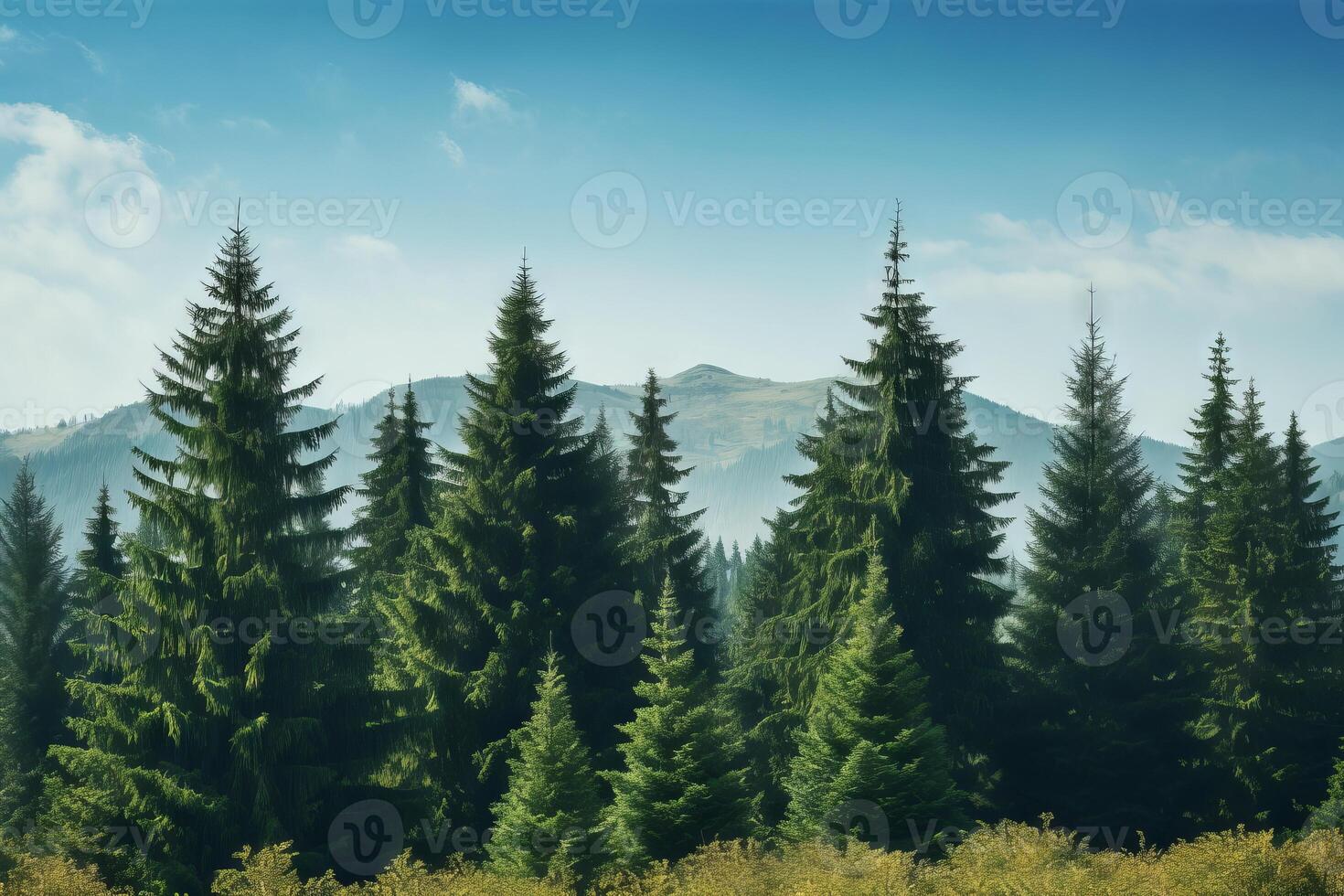 AI generated Majestic evergreen trees against a clear sky. Generative ...
