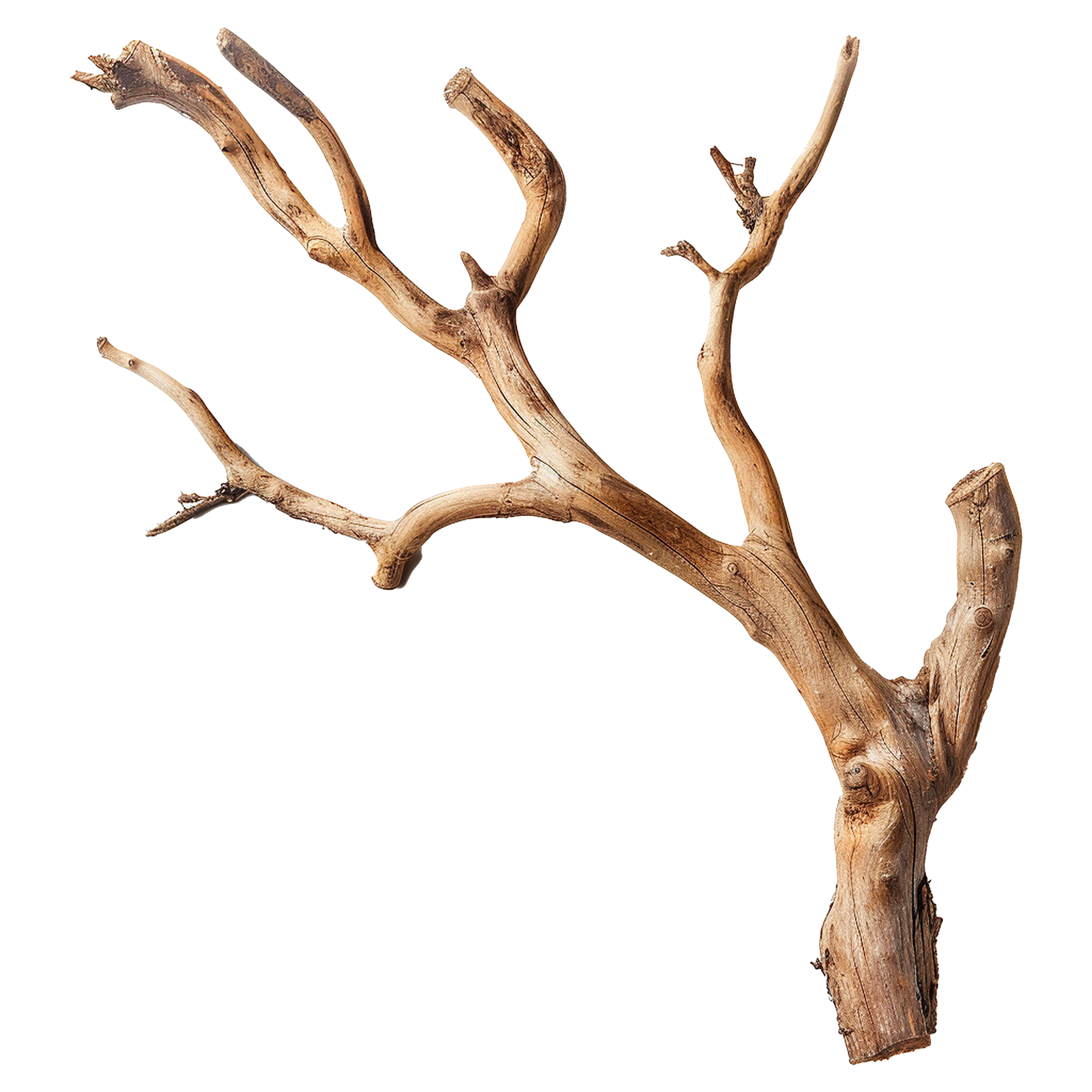 AI generated Wooden branch isolated on transparent background png 41923251 PNG