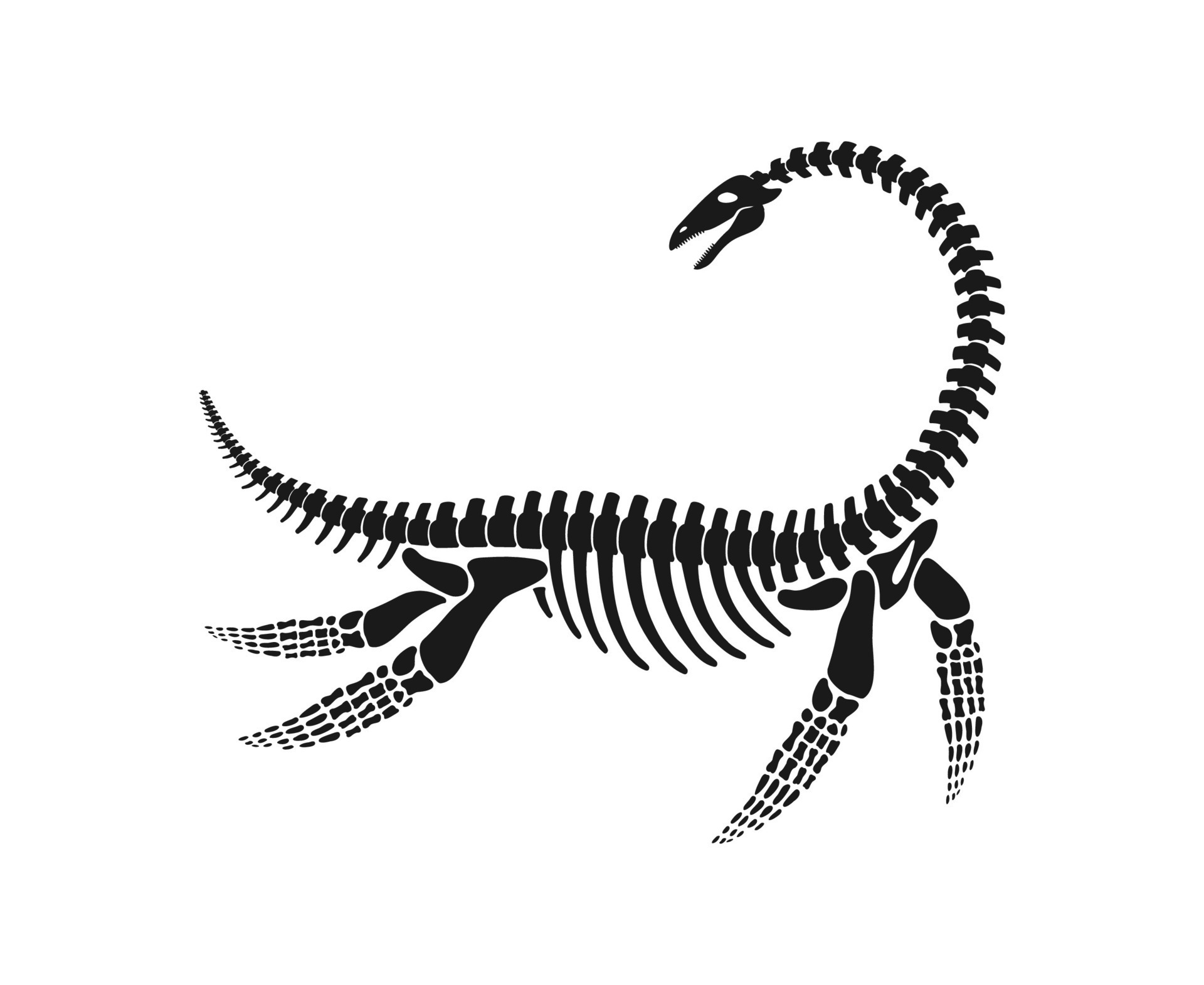 Dinosaur skeleton fossil, Plesiosaurus dino bones 42056146 Vector Art ...