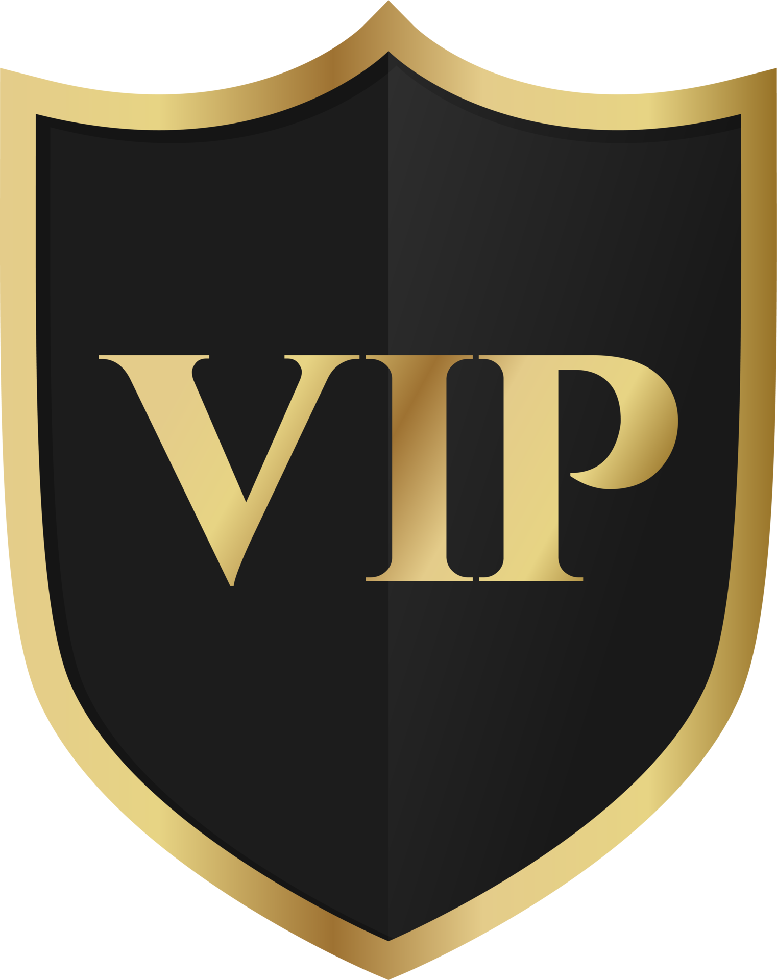 VIP premium exclusive 42156418 PNG