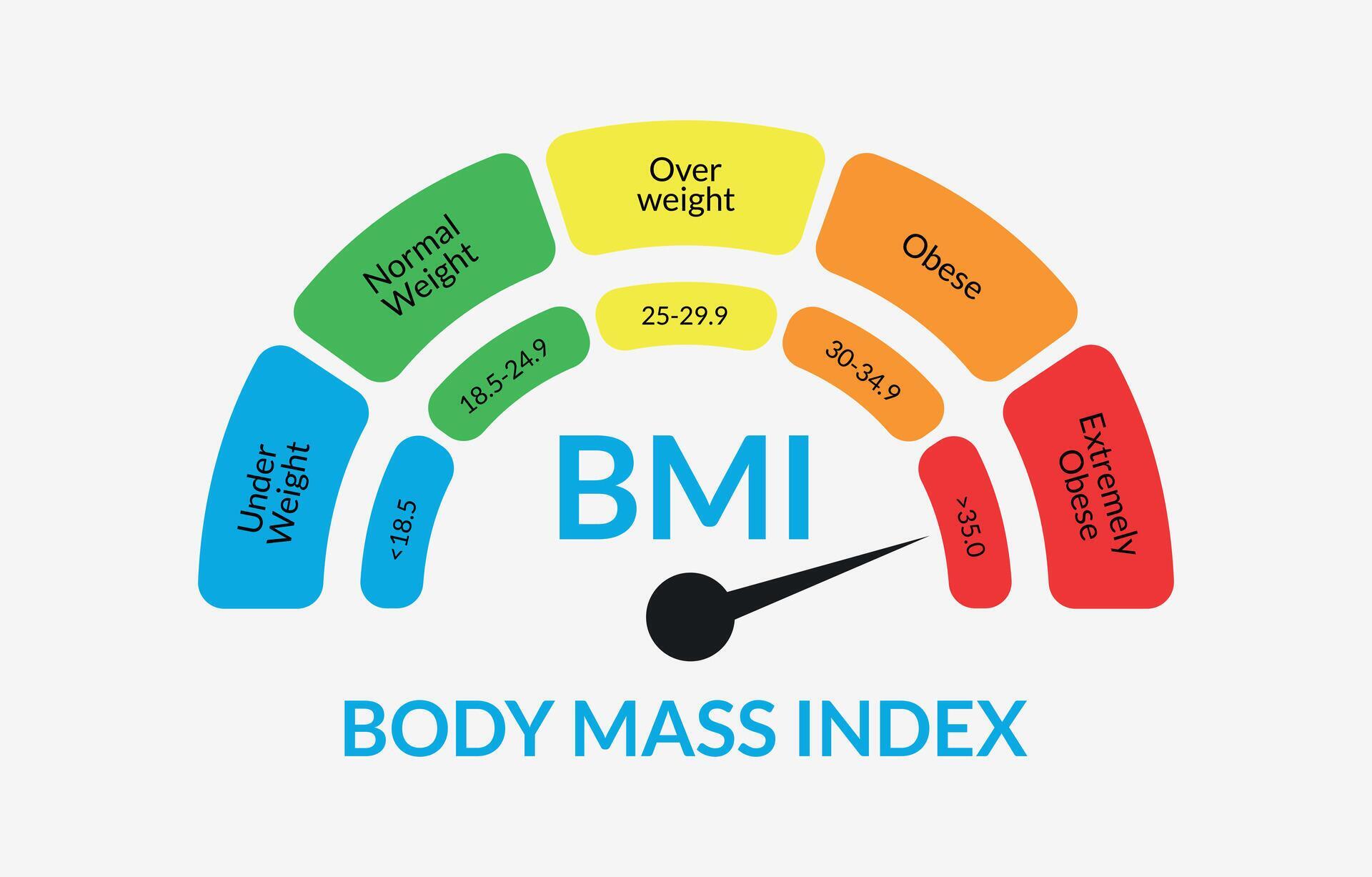 Body Mass Index Infographic Chart. Colorful BMI Chart Vector Illustration With White Isolated ...