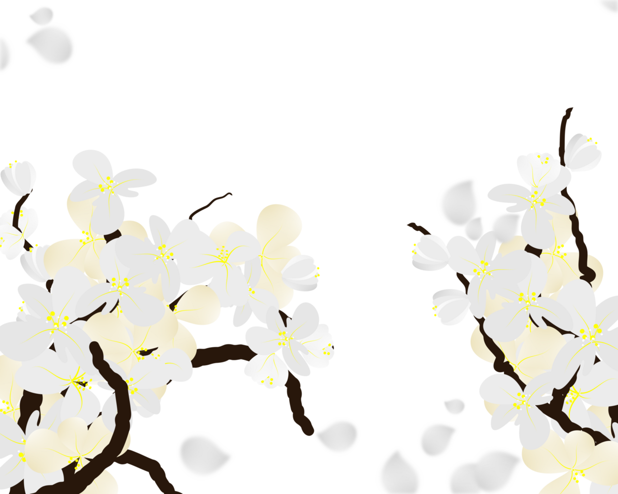 Cherry Blossom Flowers Frame Background 42235891 Png