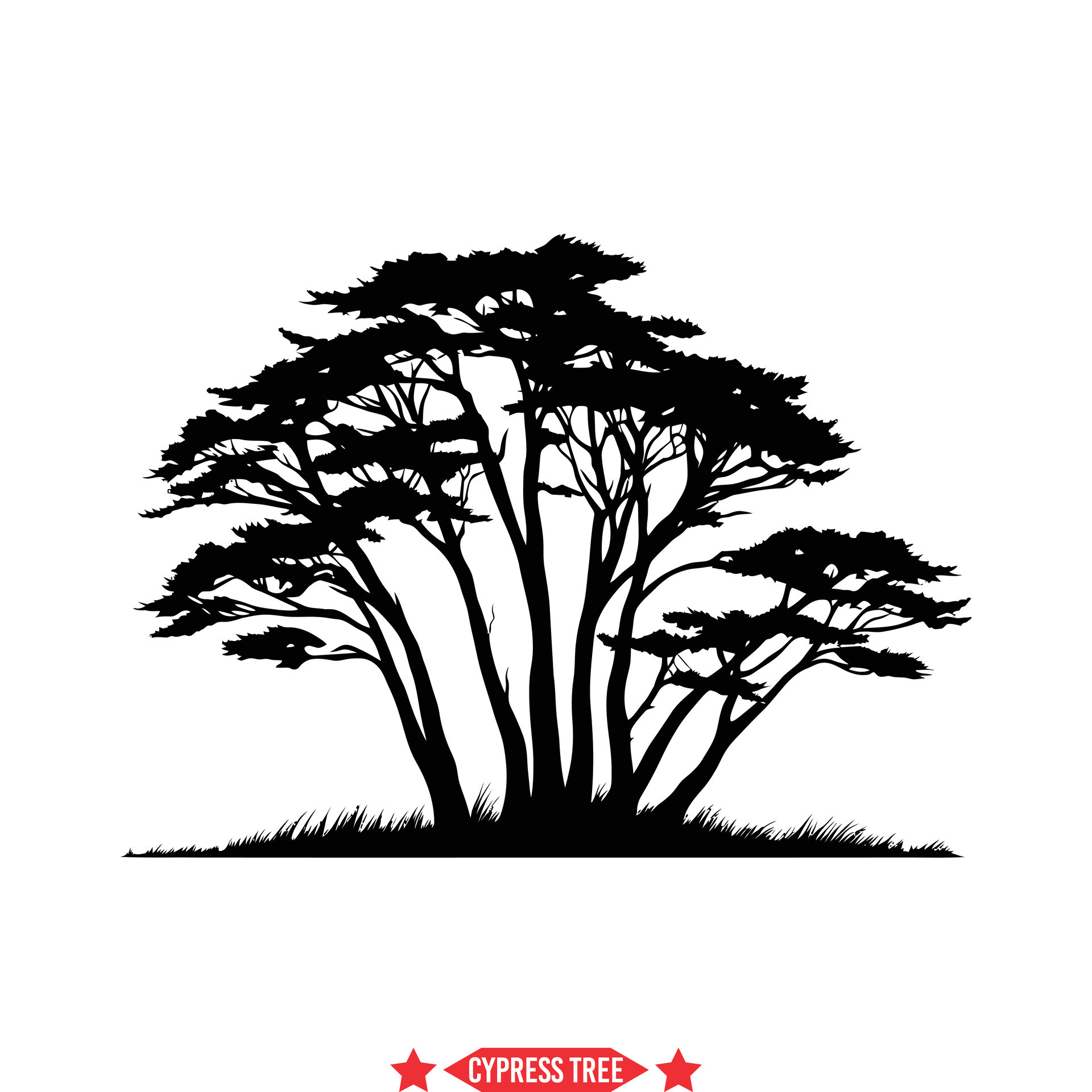 Cypress Tree Vector Bundle Lush Silhouettes for Landscape Designs ...