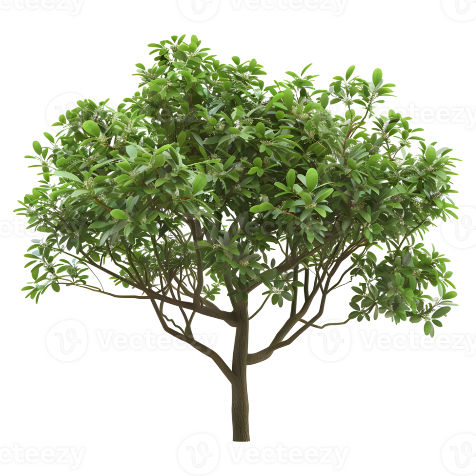 AI generated 3D Rendering of a Green Leaves Tree on Transparent ...
