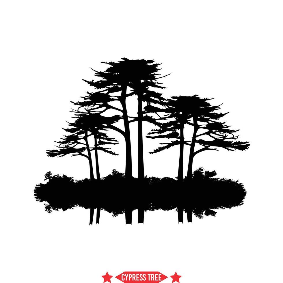 Graceful Cypress Tree Vector Illustrations Artistic Nature Designs ...