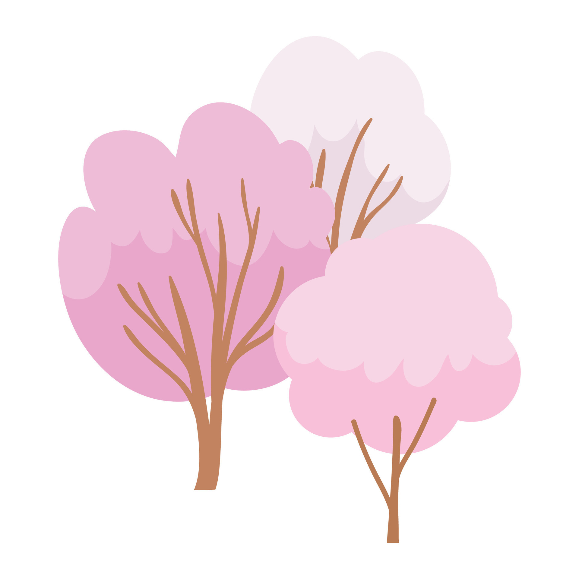 Vector spring cherry tree illustration 42343977 Vector Art at Vecteezy