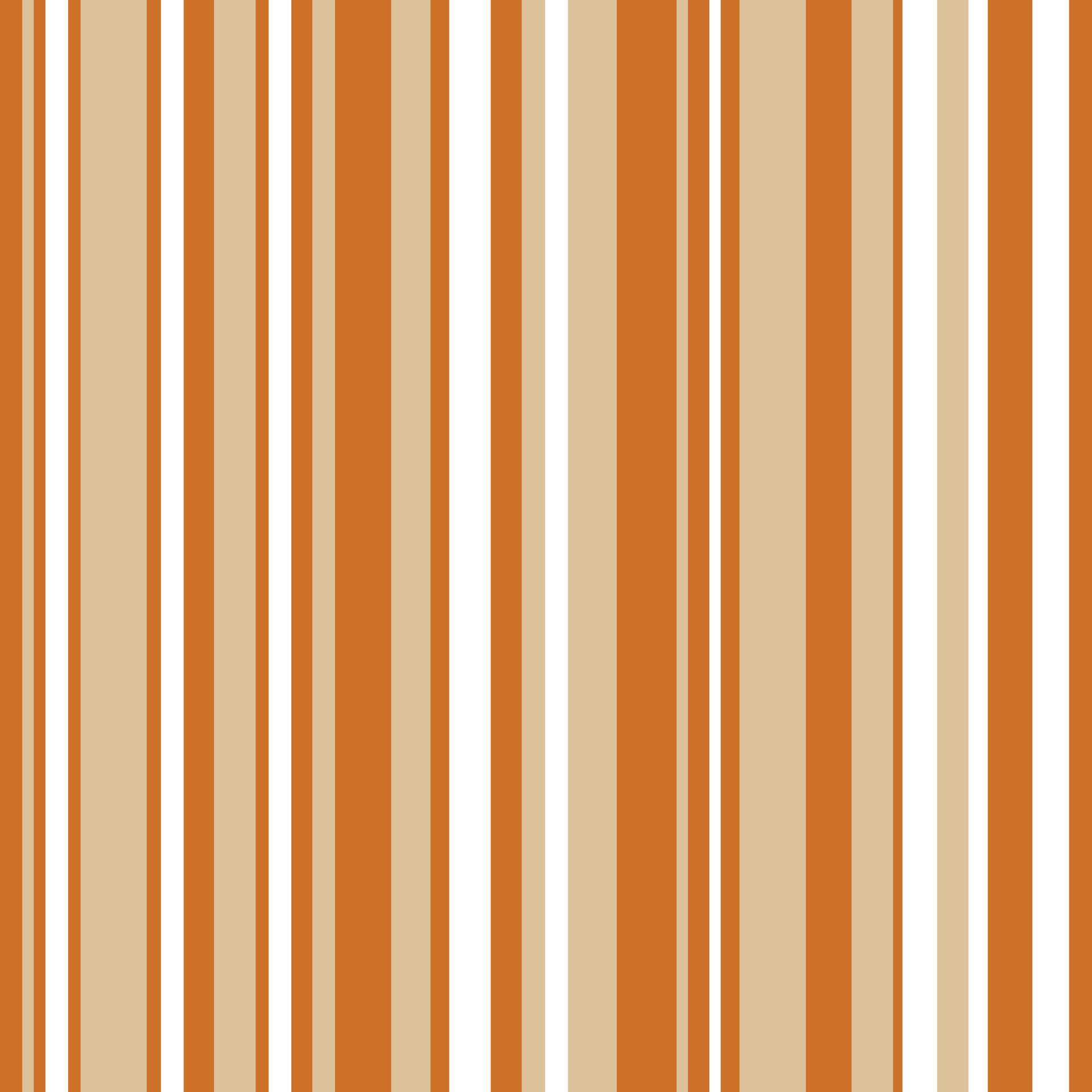 Seamless Vector Colorful Background Fabric Pattern Stripe Balance Stripe Patterns Cute Vertical