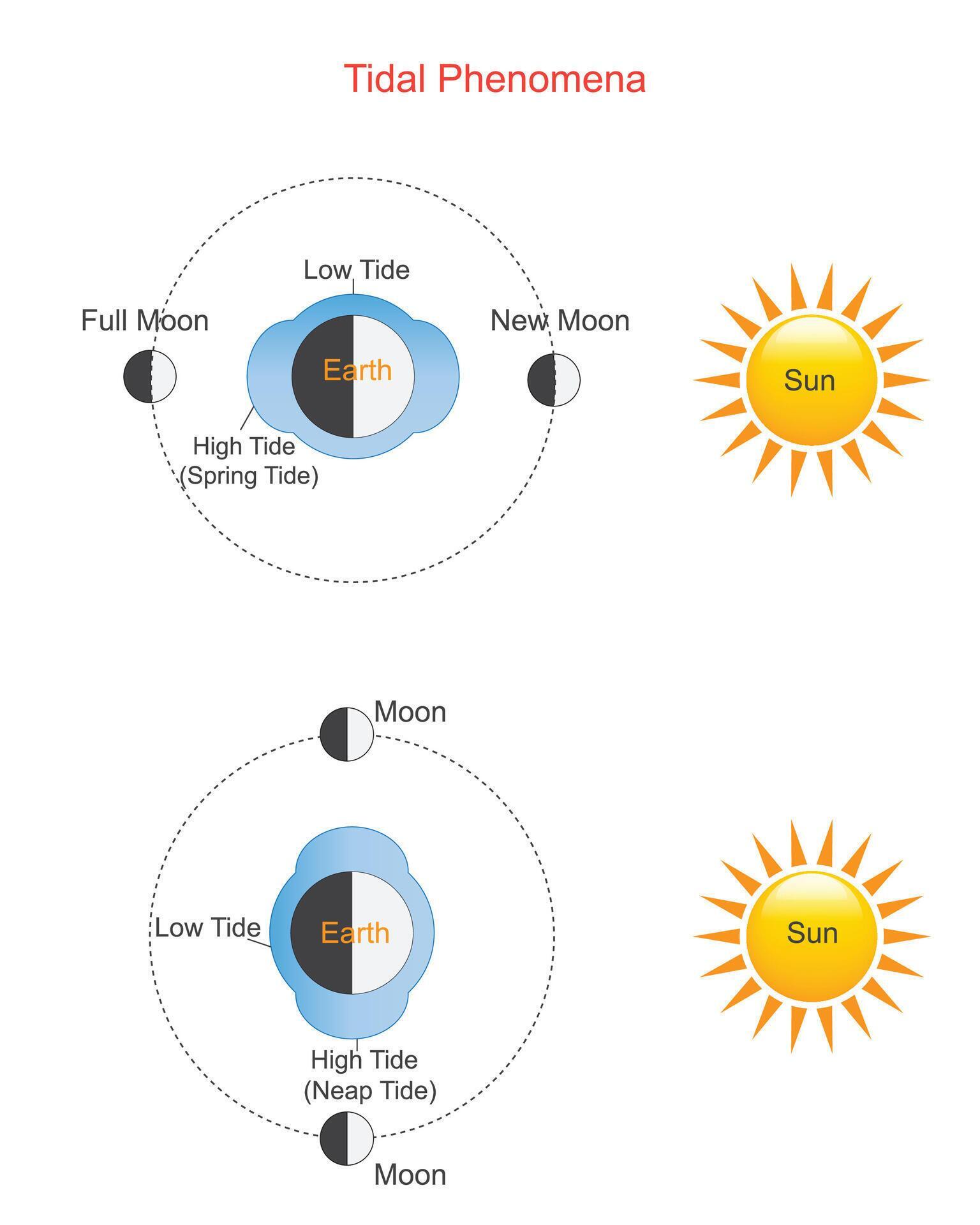 Tidal phenomena. Gravitational forces between Earth, Moon, and Sun ...
