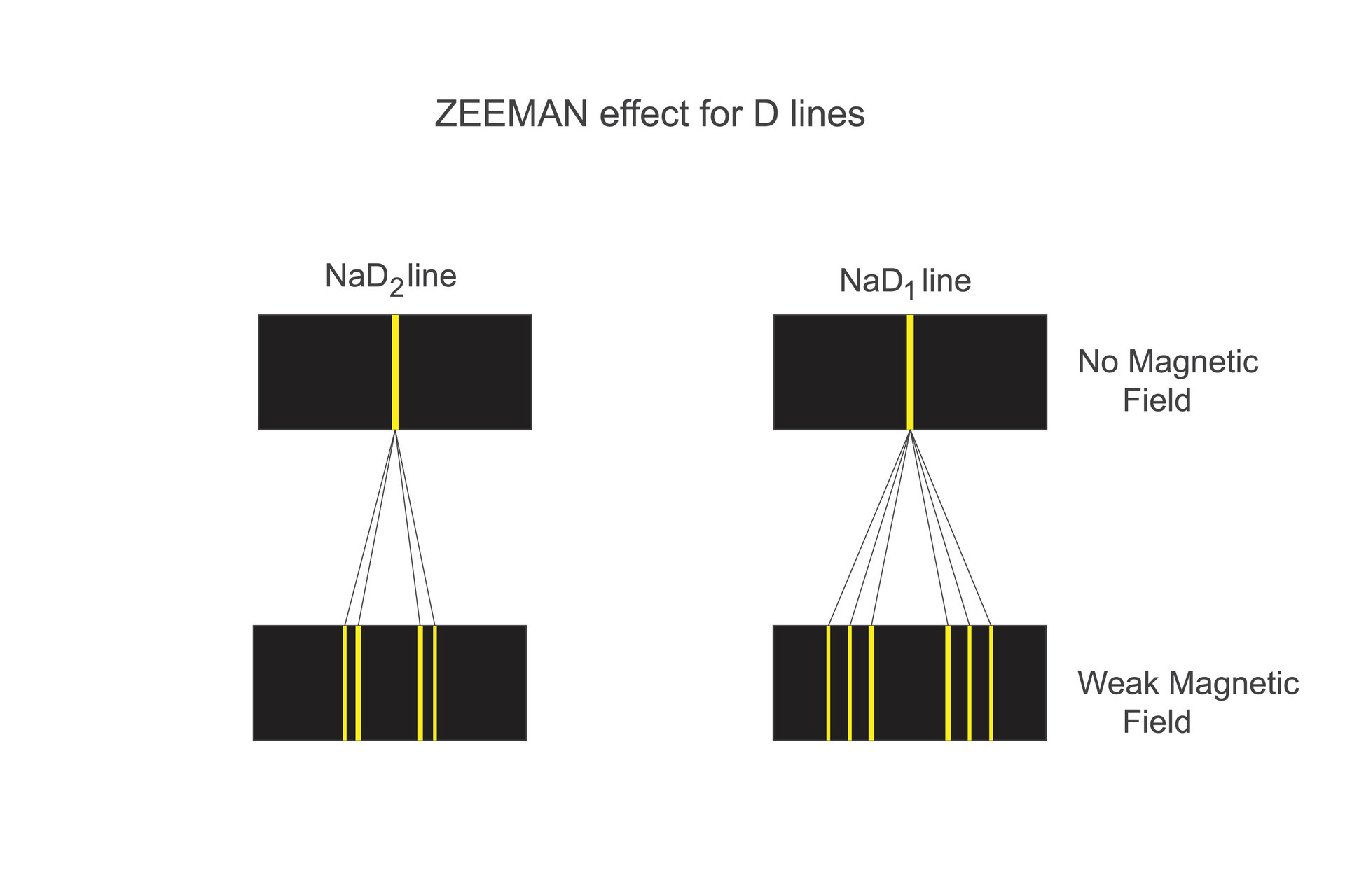 Zeeman Effect Splitting Of Spectral Lines In A Magnetic Field