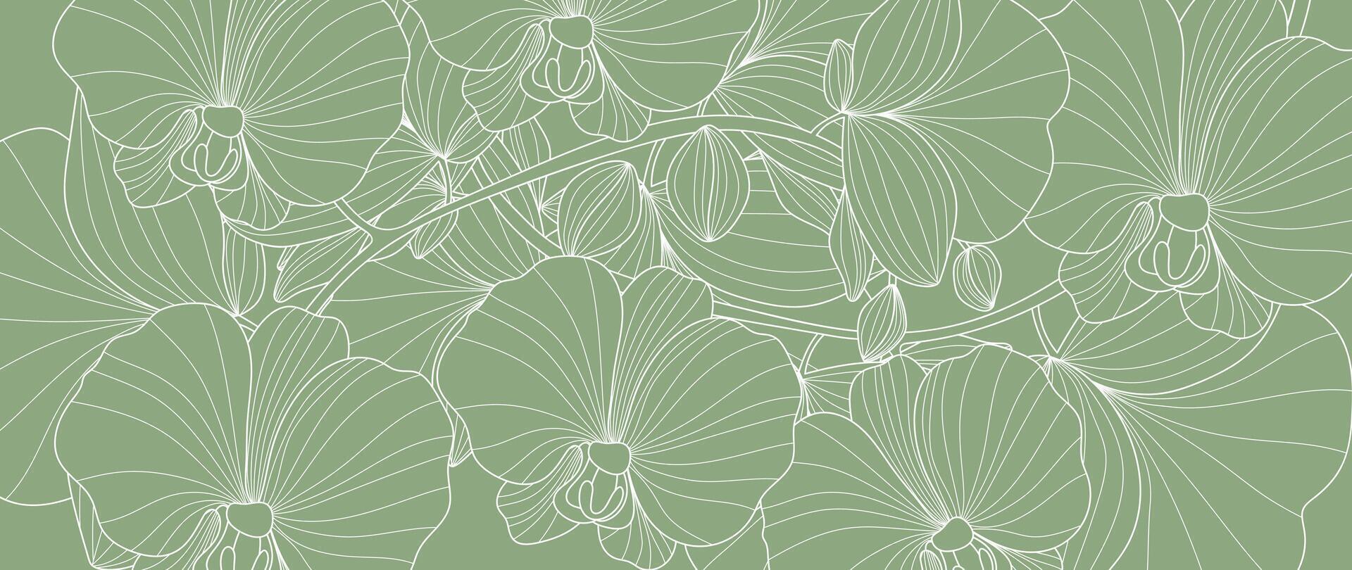 Botanical Line Art Background Vector Natural Botanical Elegant Orchid