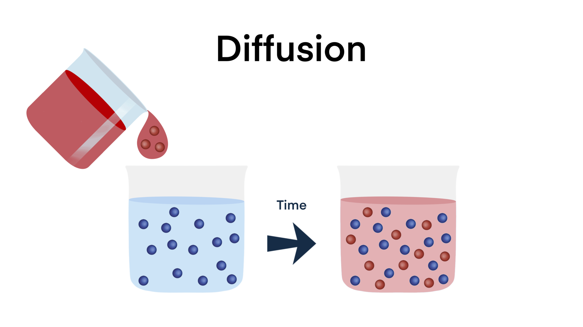 Diffusion Is Movement Of Molecules And Atoms From A Region Of Higher