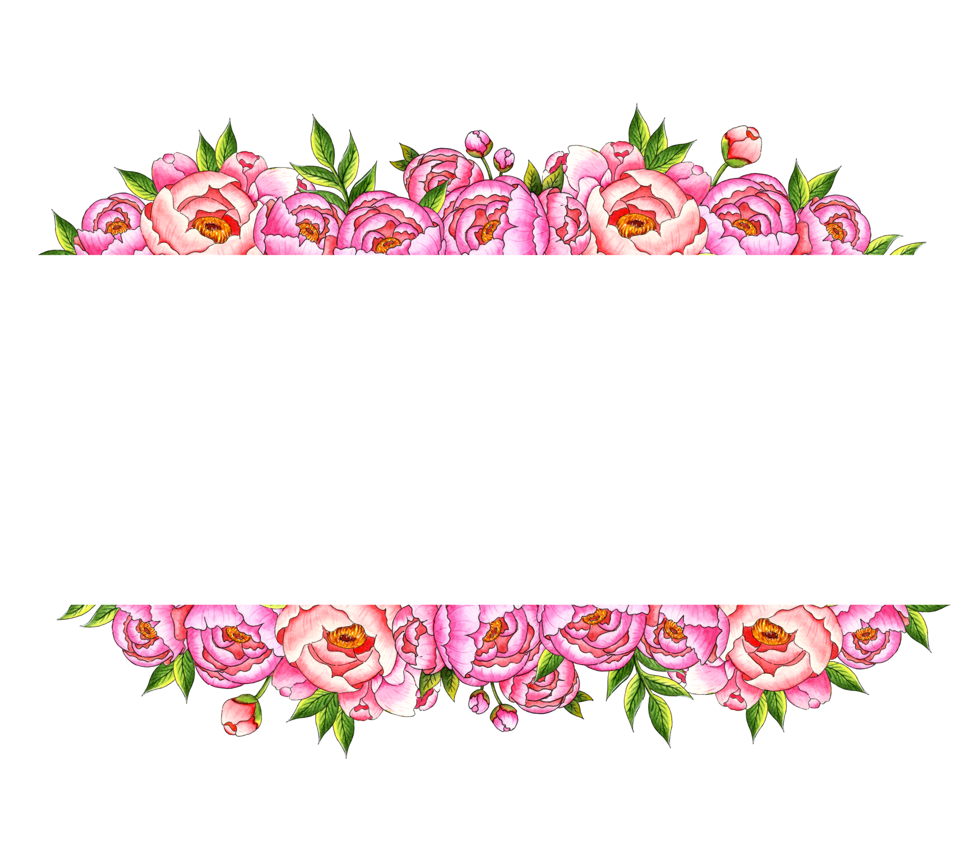 Watercolor Illustration Frame Borders Top Bottom Border With Pink Peonies Buds And Leaves