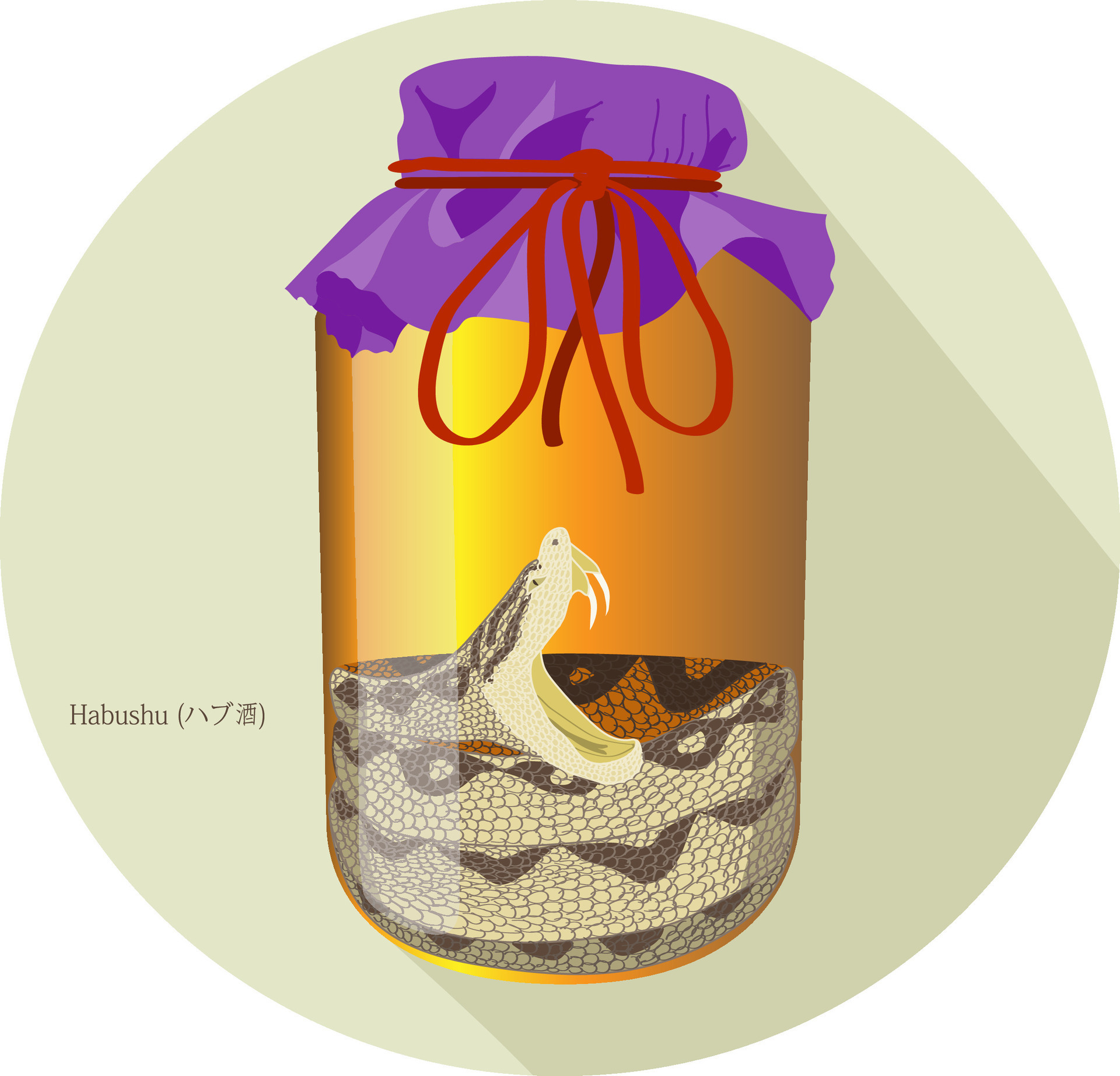 Hand drawn vector illustration of Habushu, Habu Sake or Okinawan Snake Wine - an awamori-based ...