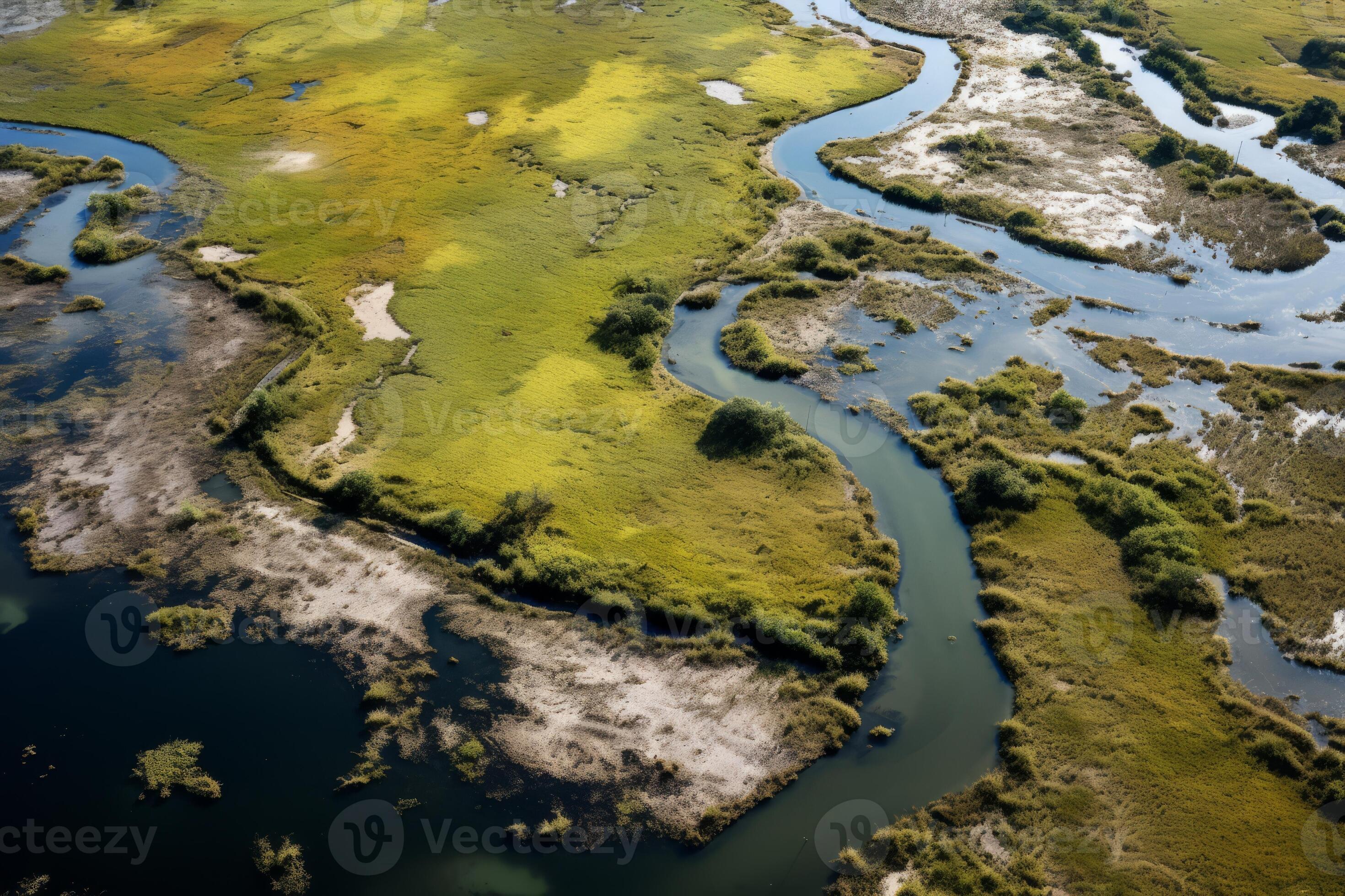 AI generated An aerial view of a wetland teeming with birdlife ...
