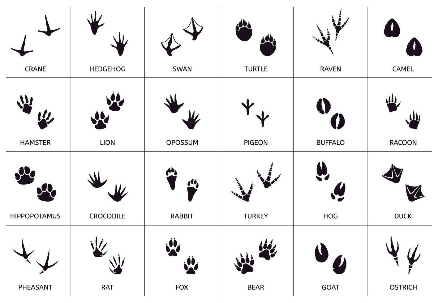 Animals footprint. Animal, birds and reptile foot marks, wild animals ...