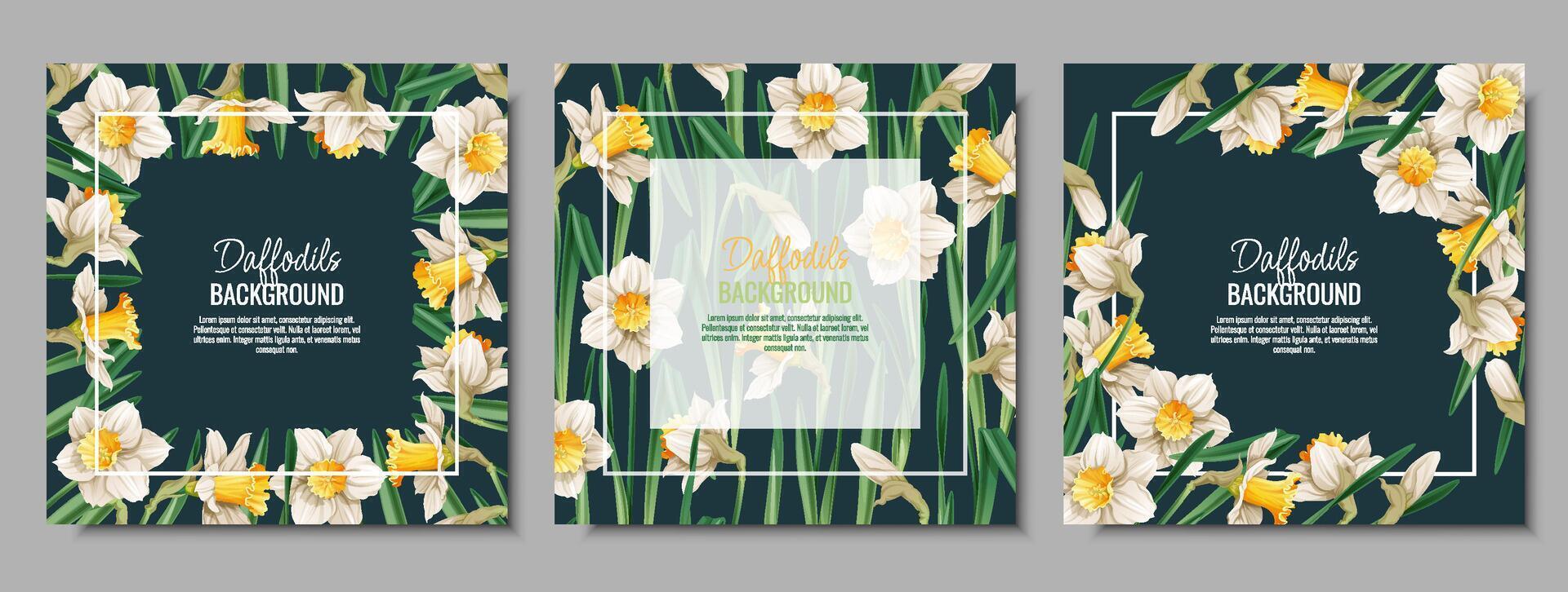 Set of Spring background with daffodils. Postcard, banner for Easter ...