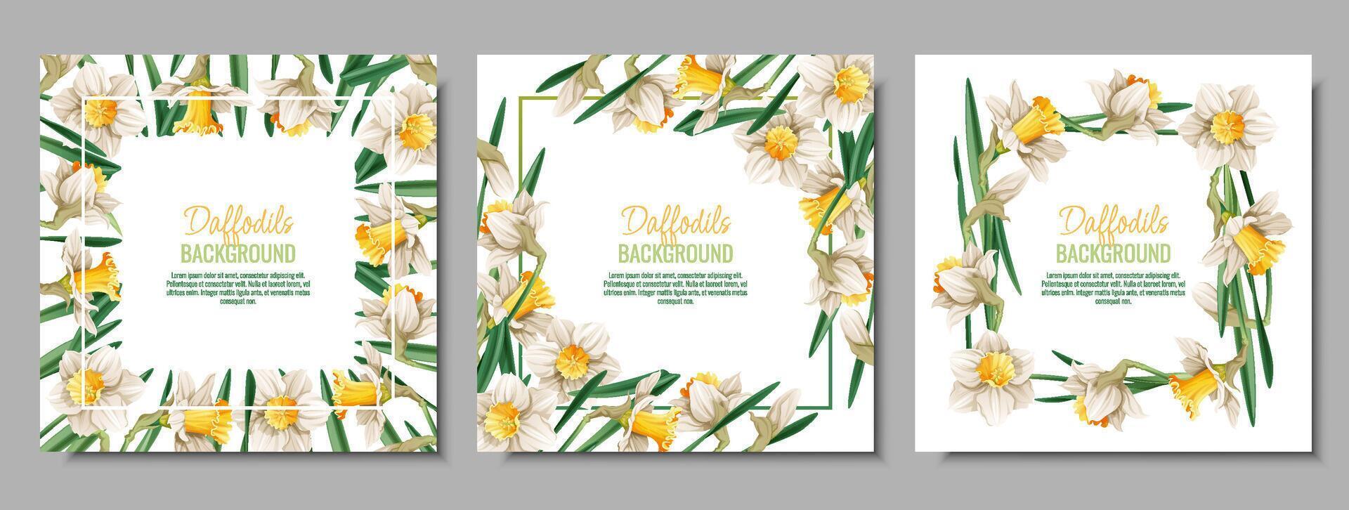 Set of Spring background with daffodils. Postcard, banner for Easter ...