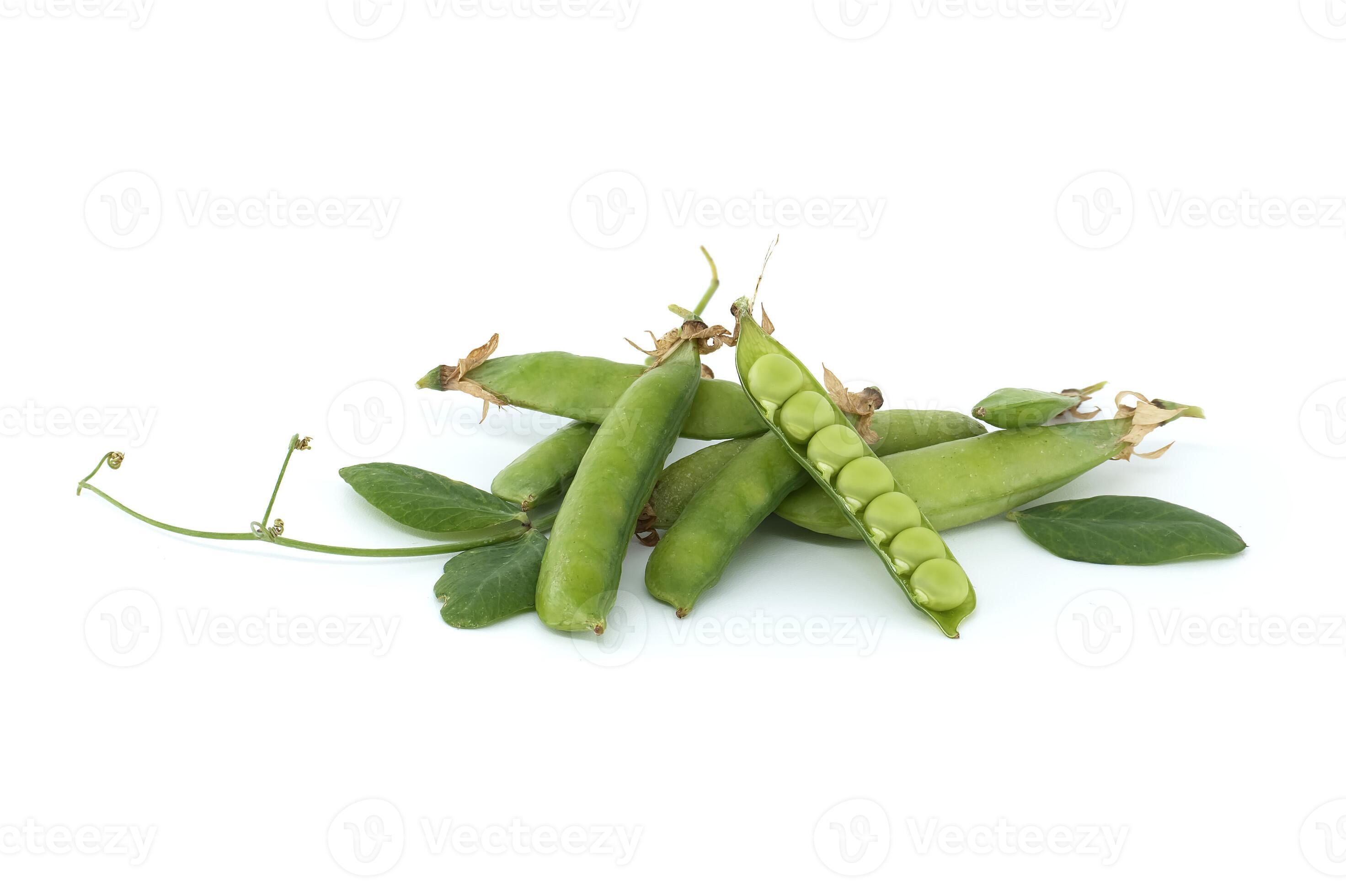 Pea pod is open and green peas inside over white background 42643520 ...