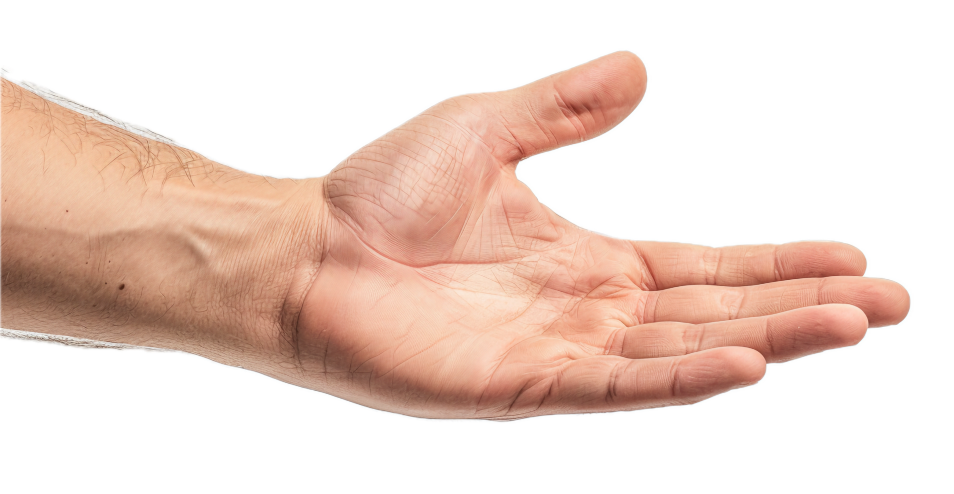 AI generated Open Human Hand png 42654127 PNG