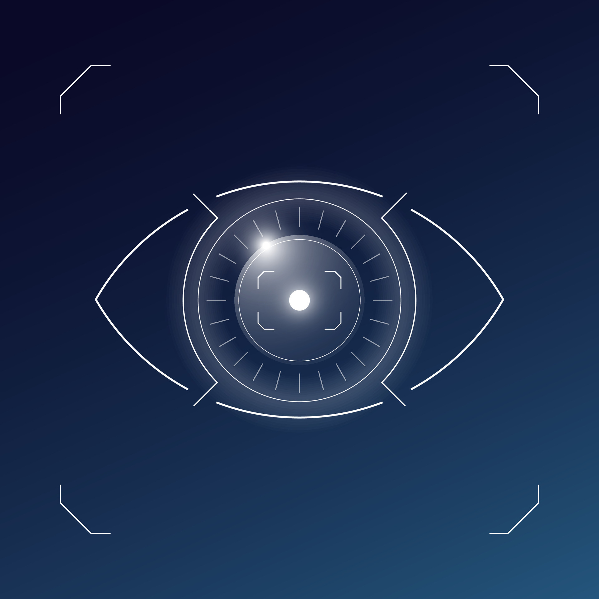 Hud Retinal Recognition Biometric Id Scan Icon Concept User Eye Verification Symbol Person