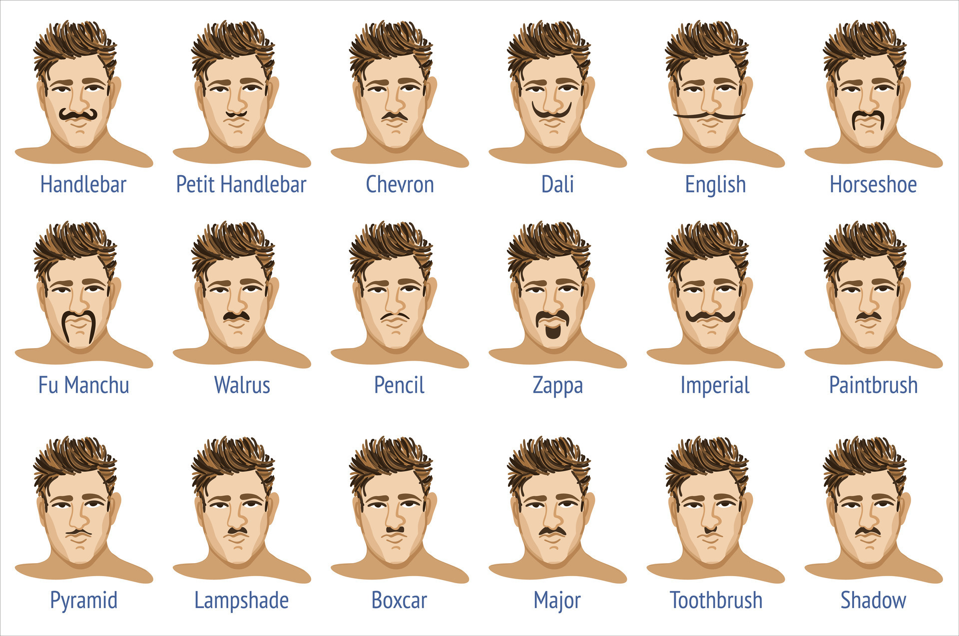Mustache types. isolated set. With definitions 42669840 Vector Art at ...