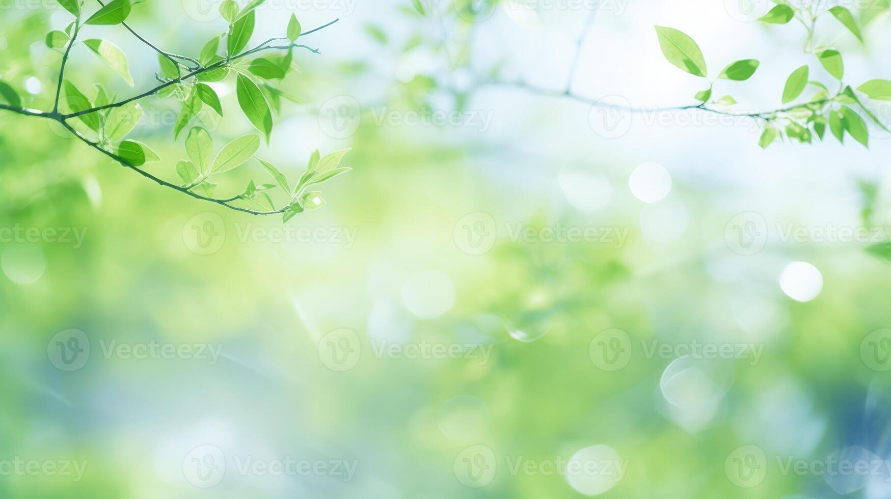 Light Green Nature Stock Photos, Images and Backgrounds for Free Download