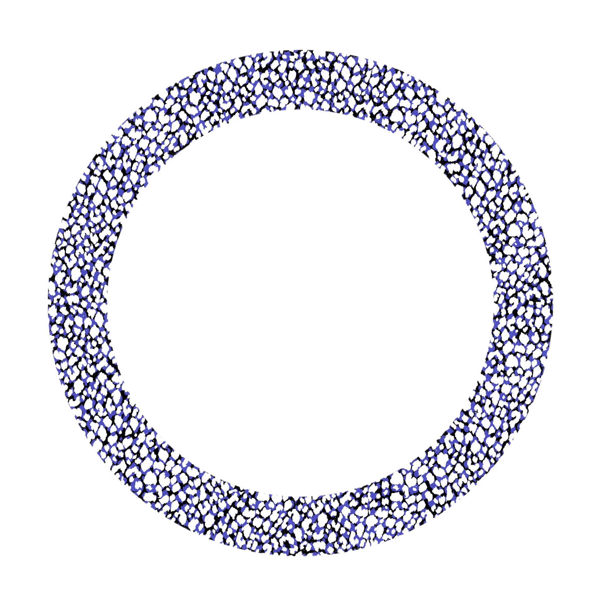 Circle Pattern Border 42730284 Png