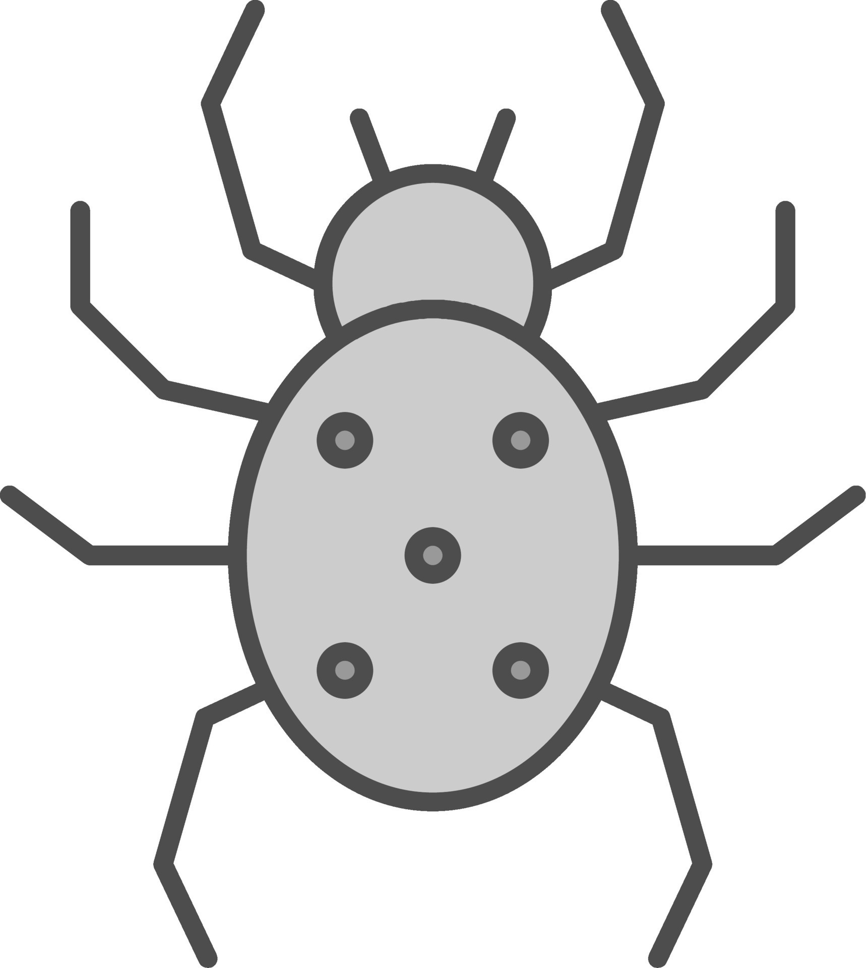 Spider Fillay Icon 42788059 Vector Art at Vecteezy