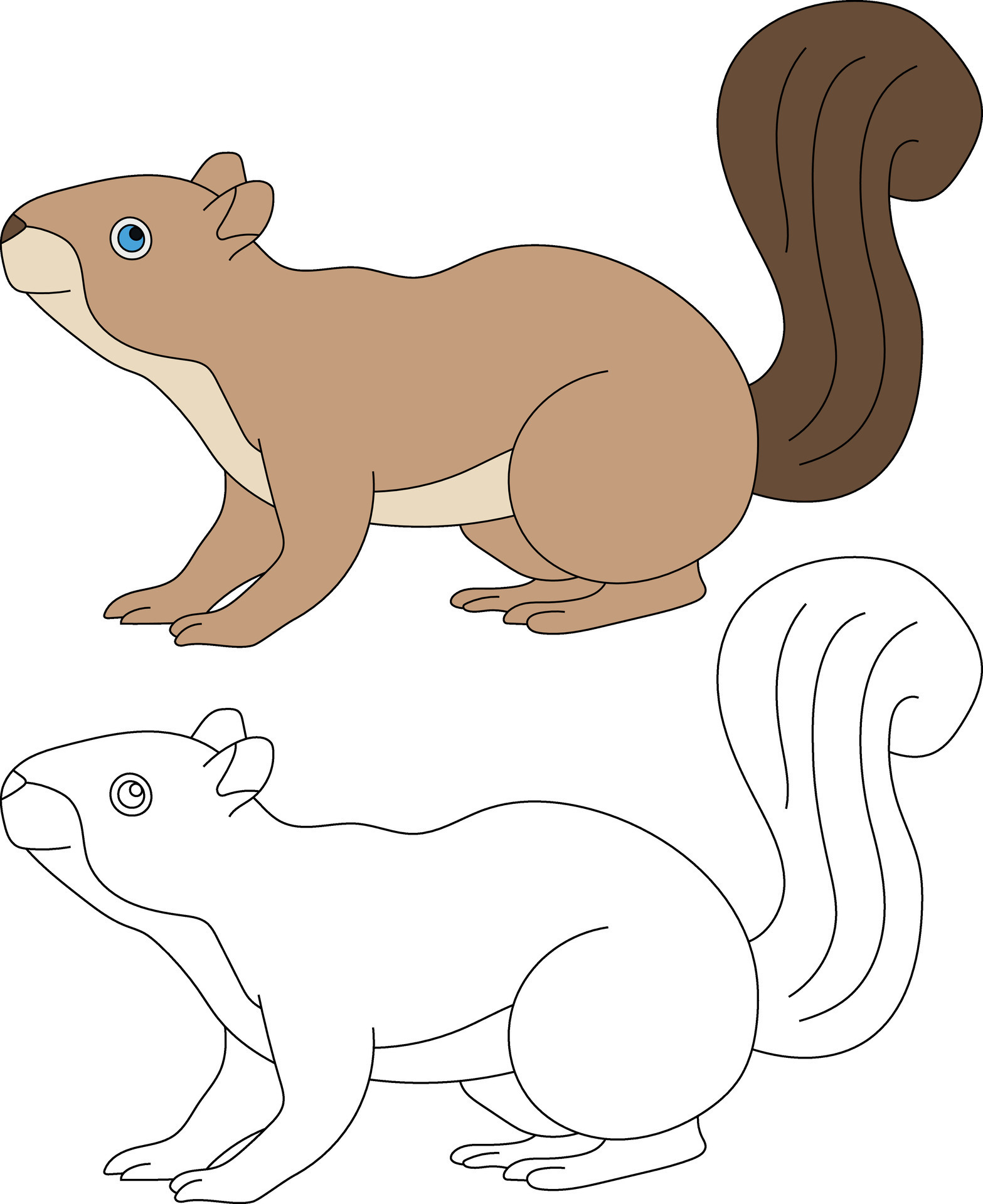 Squirrel Clipart Set. Cartoon Wild Animals Clipart Set for Lovers of ...
