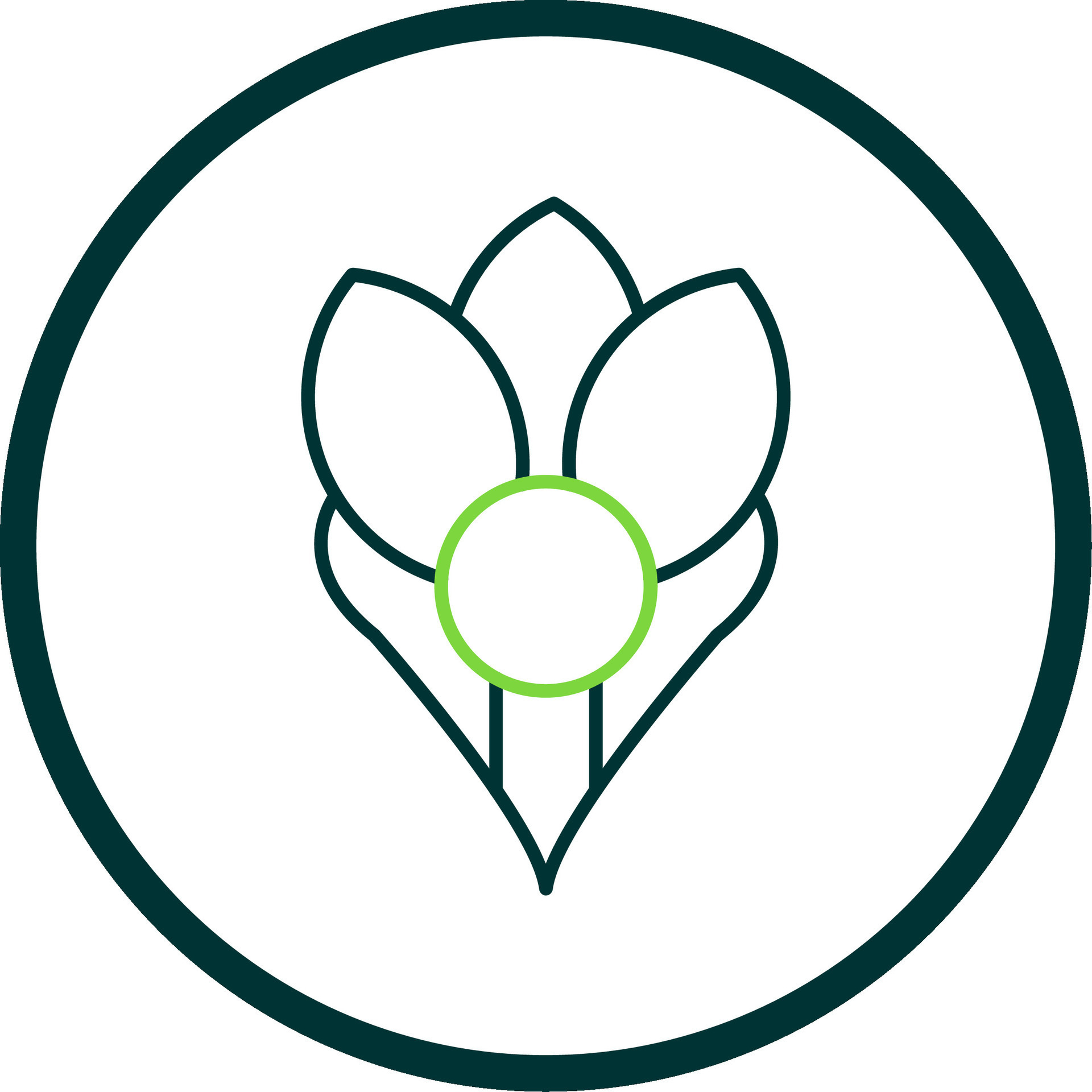 Crocus Line Circle Icon 42833185 Vector Art At Vecteezy