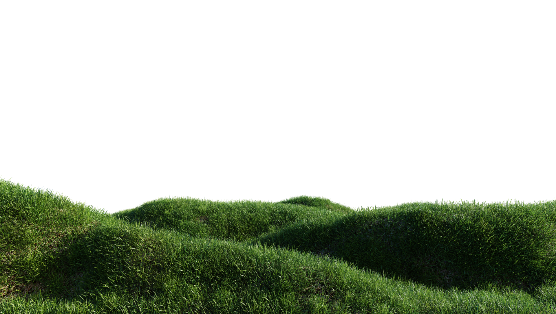 Meadow Green Grass Alpha 42841118 Png