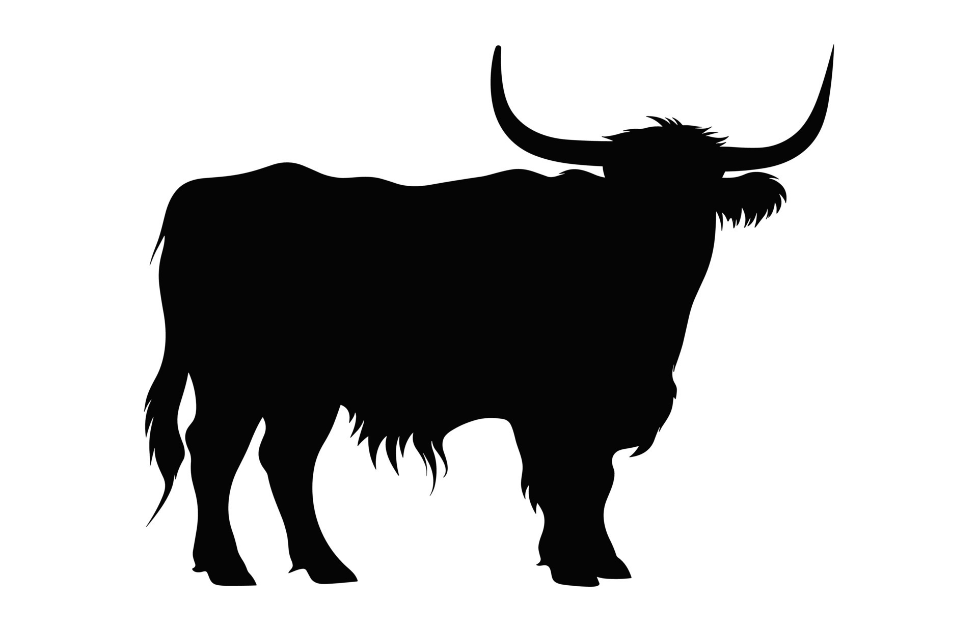 Highland Cow Silhouette Isolated On A White Background 42885555 Vector Art At Vecteezy