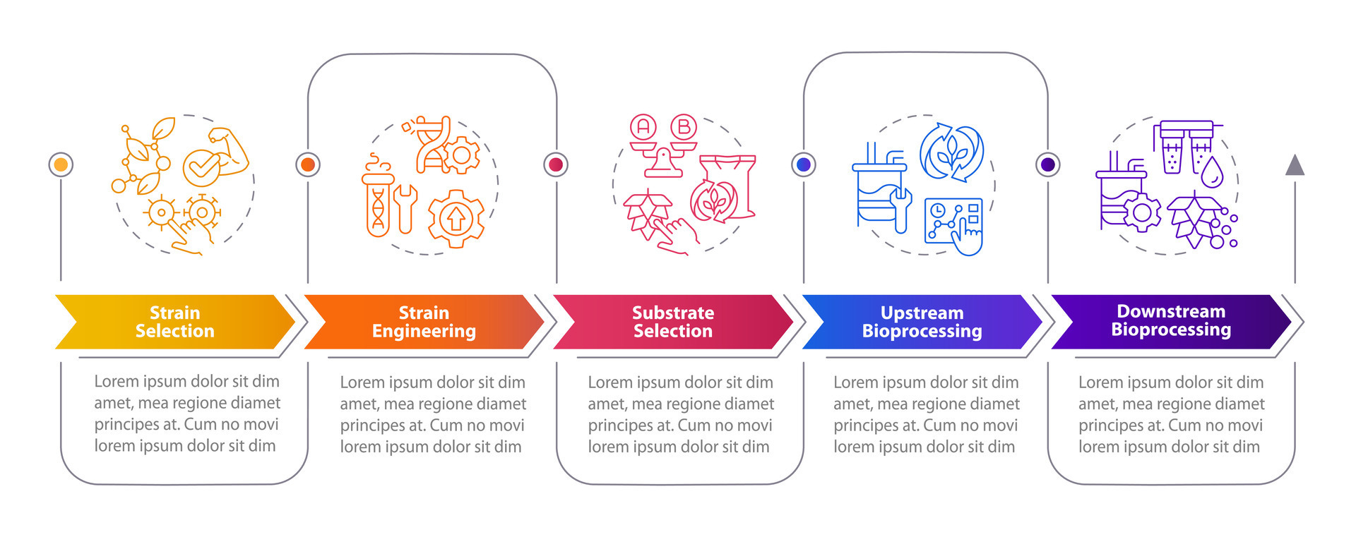 Fermentation Bioprocessing Rectangle Infographic Template Data Visualization With 5 Steps