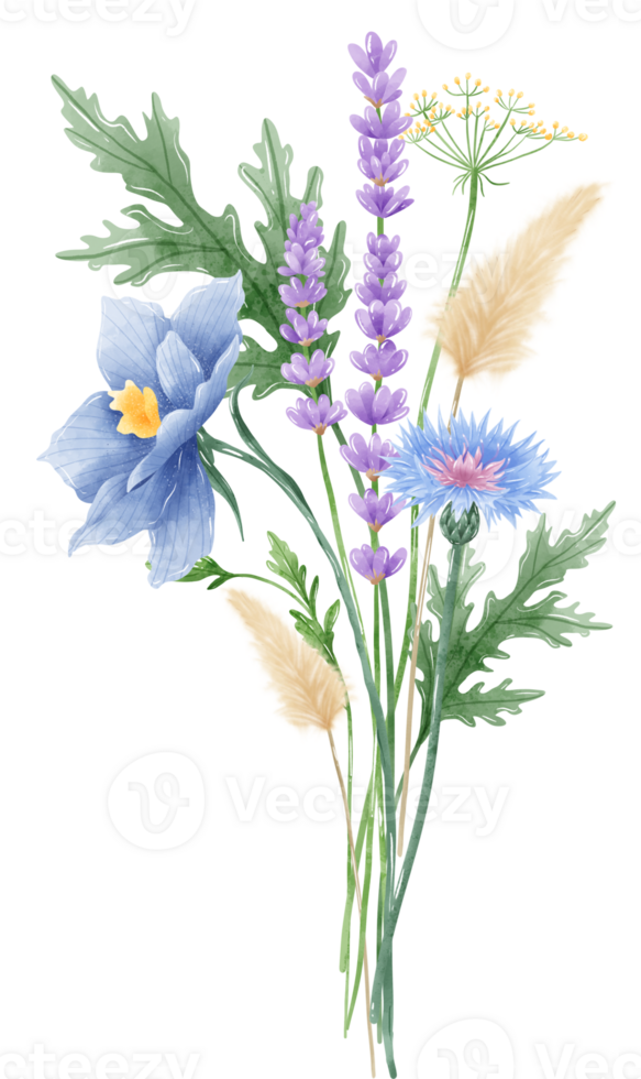 Handdrawn Watercolor Illustration Clipart Of Detailed Spring
