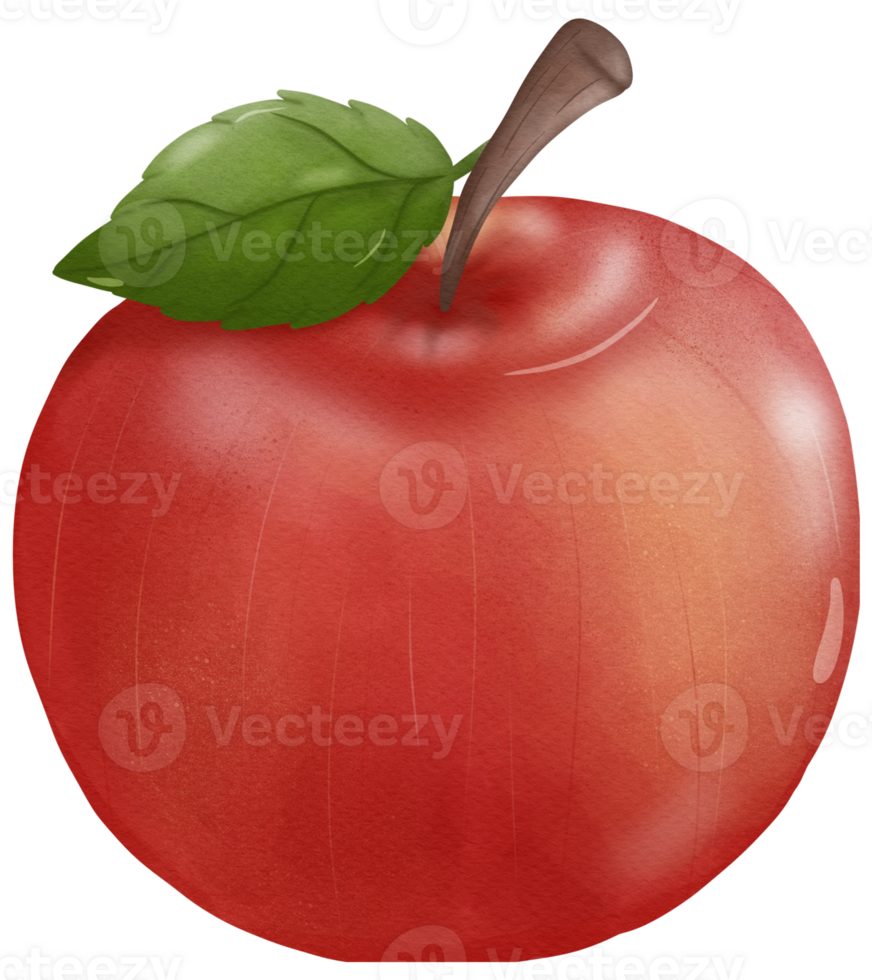 Apple watercolor clip art 42930483 PNG