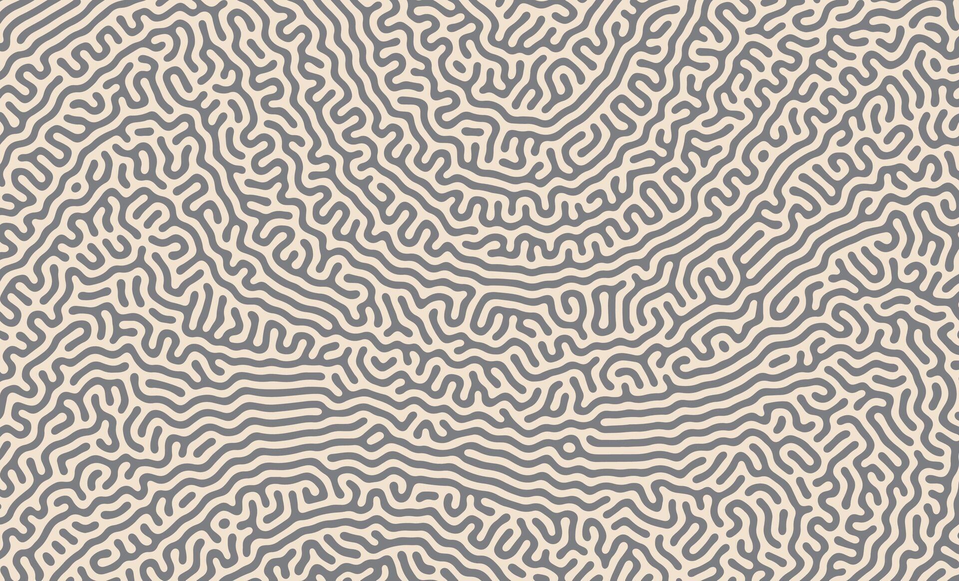 Grey And White Turing Pattern Structure Oraganic Lines Background
