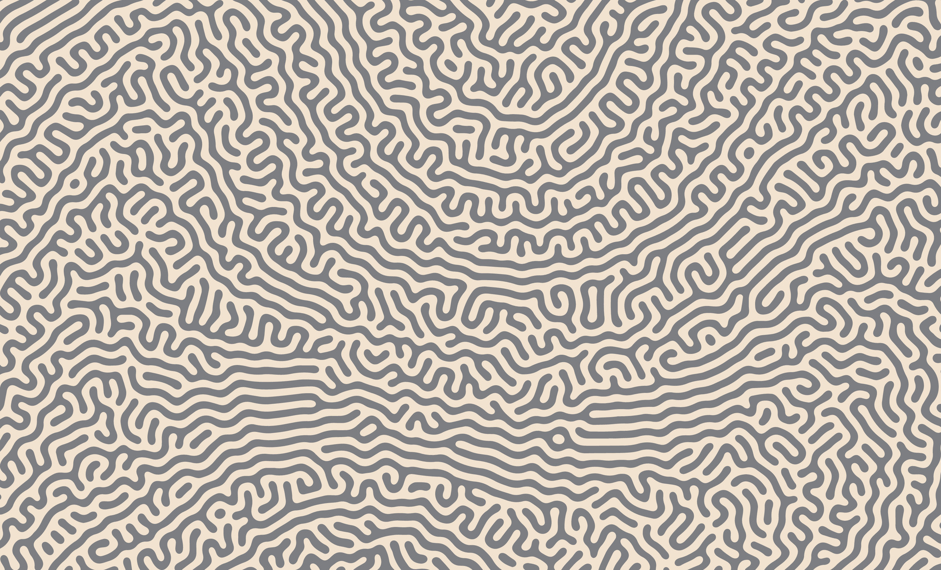 Grey And White Turing Pattern Structure Oraganic Lines Background