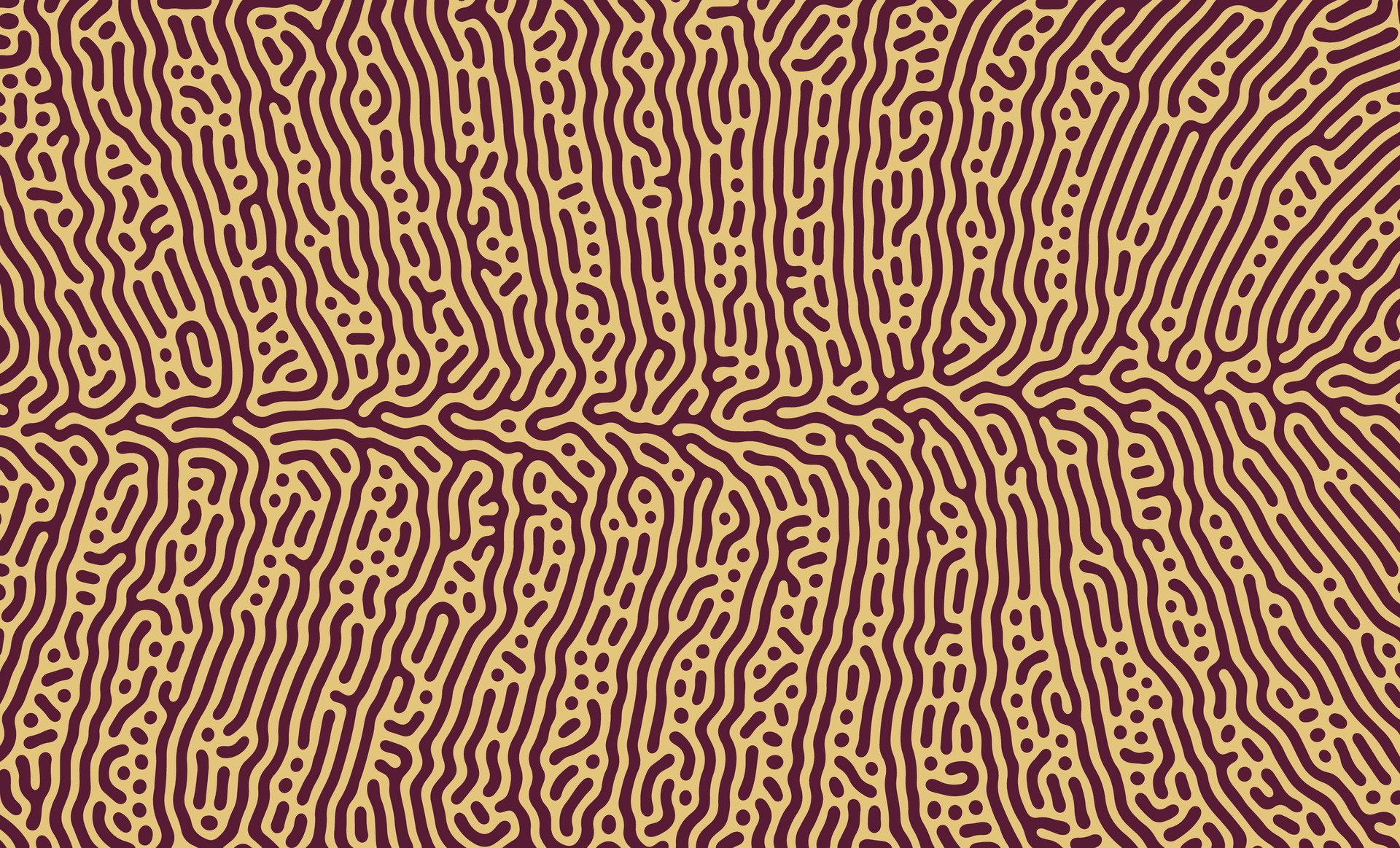 Sceleton Orange Shape Turing Pattern Structure Oraganic Lines