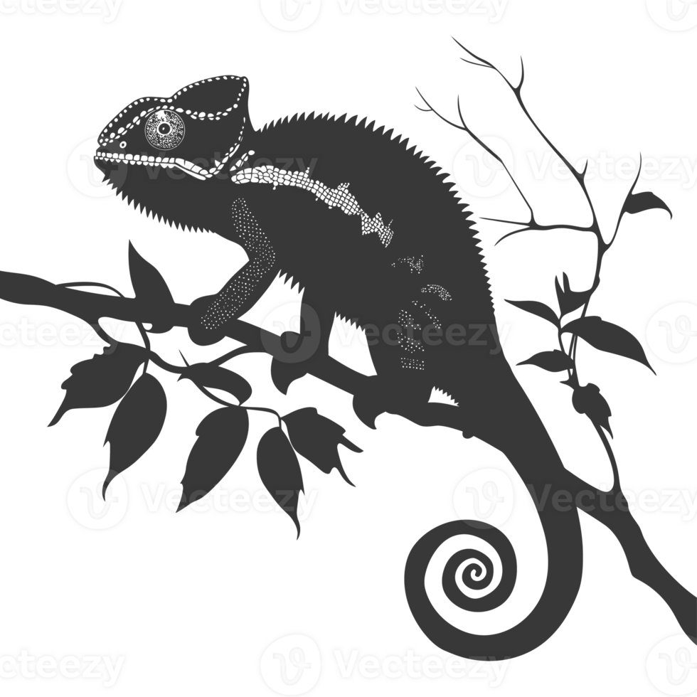 Silhouette chameleon Animal black color only full body 43030504 PNG Silhouette chameleon Animal black color only full body 43030504 PNG
