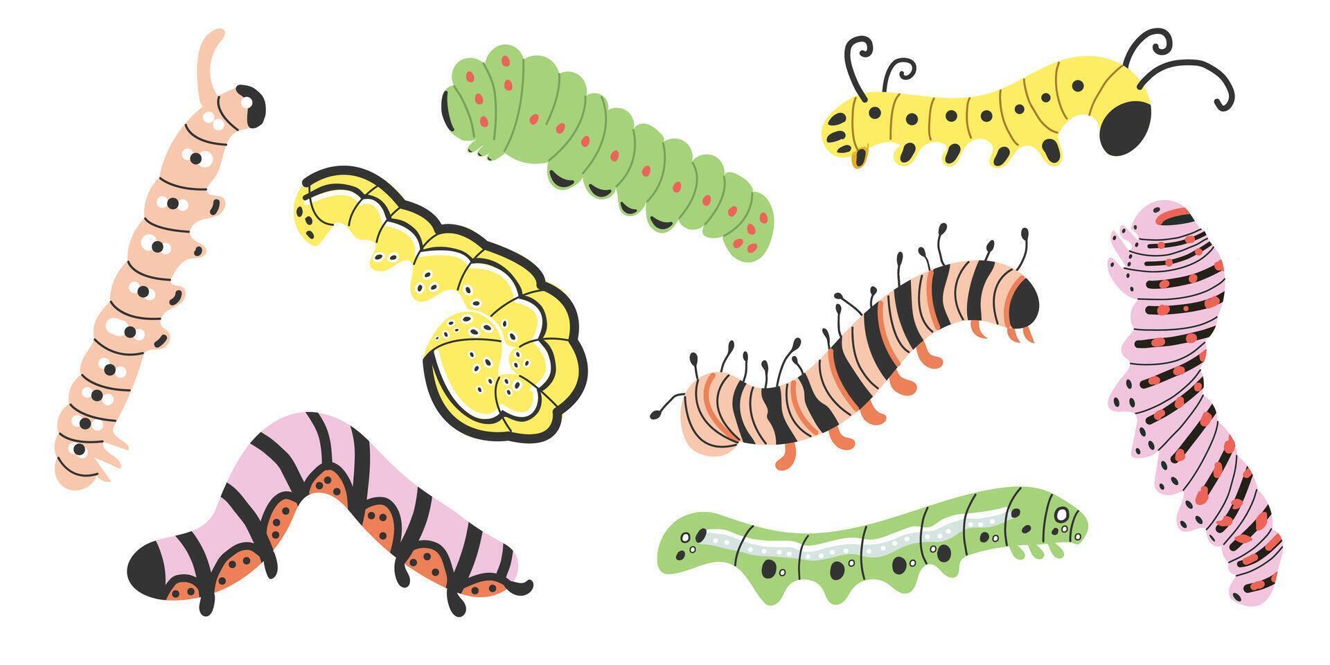 set of colorful caterpillars. Spring caterpillars in different poses ...