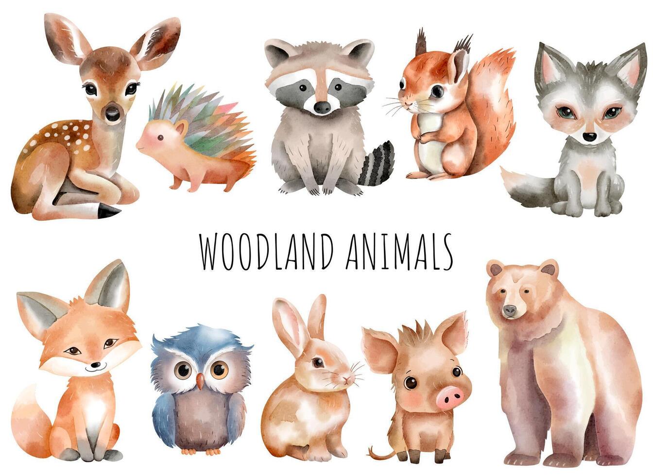 Set of watercolor forest animals. Woodland animals. Bear, fox, boar ...