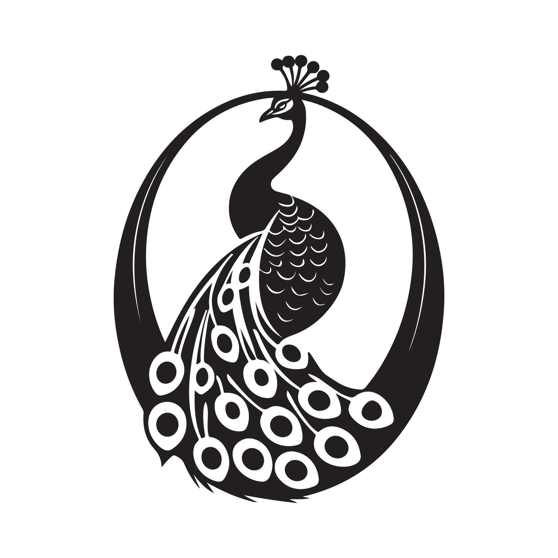 Peacock Logo Design Illustration Graphics Art And Images 43107857
