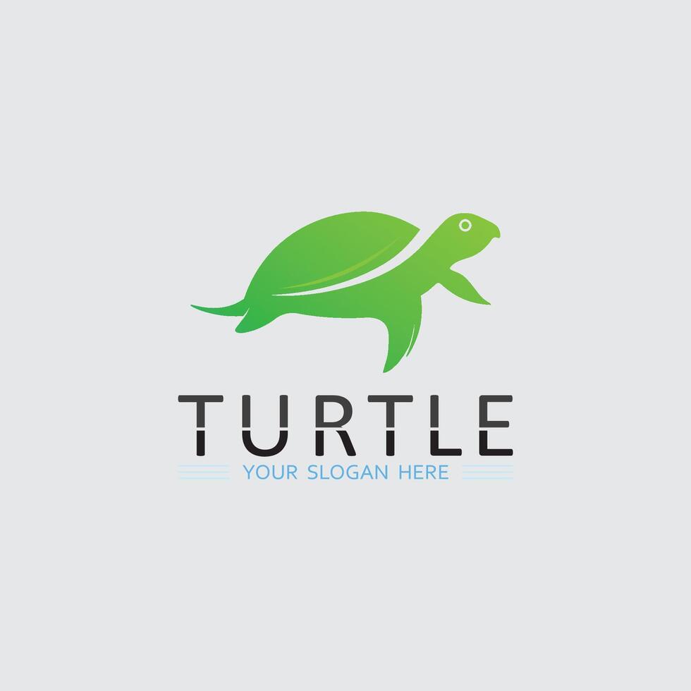 Turtle animal cartoon icon 43181648 Vector Art at Vecteezy